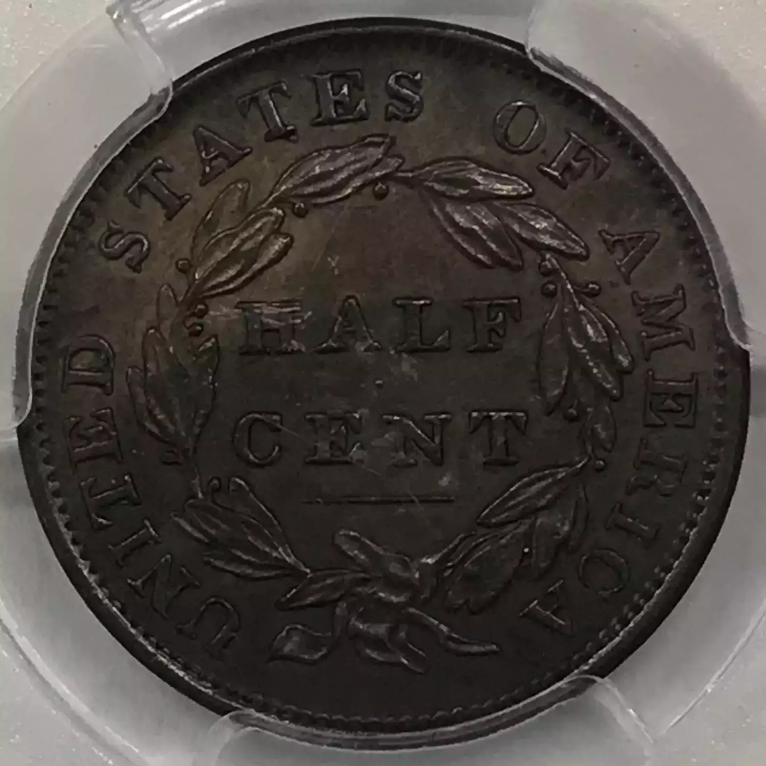 1833 Classic Head Half Cent PCGS AU-55 BN - Old Pueblo Coin