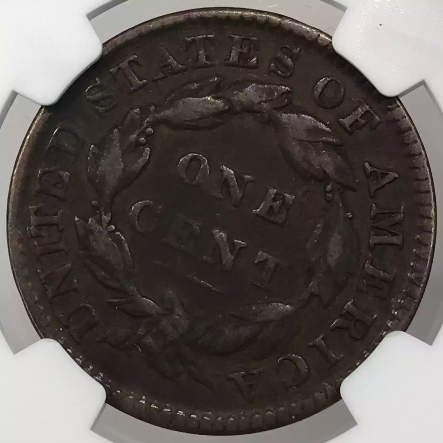 1833 Coronet Head Large Cent NGC FINE-Details BN - Old Pueblo Coin