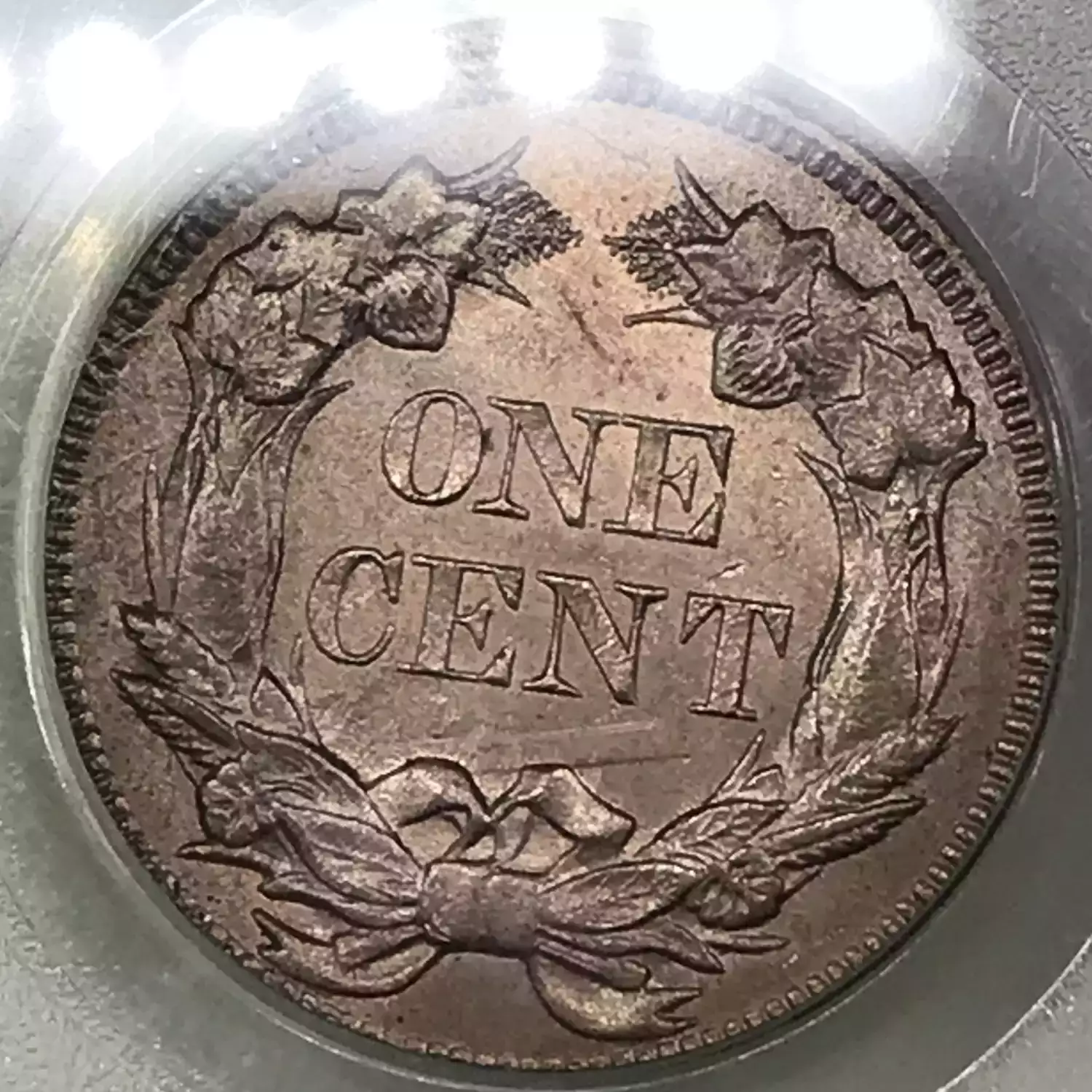 1858 Flying Eagle Cent PCGS MS-64 Large Letters CAC - Old Pueblo Coin