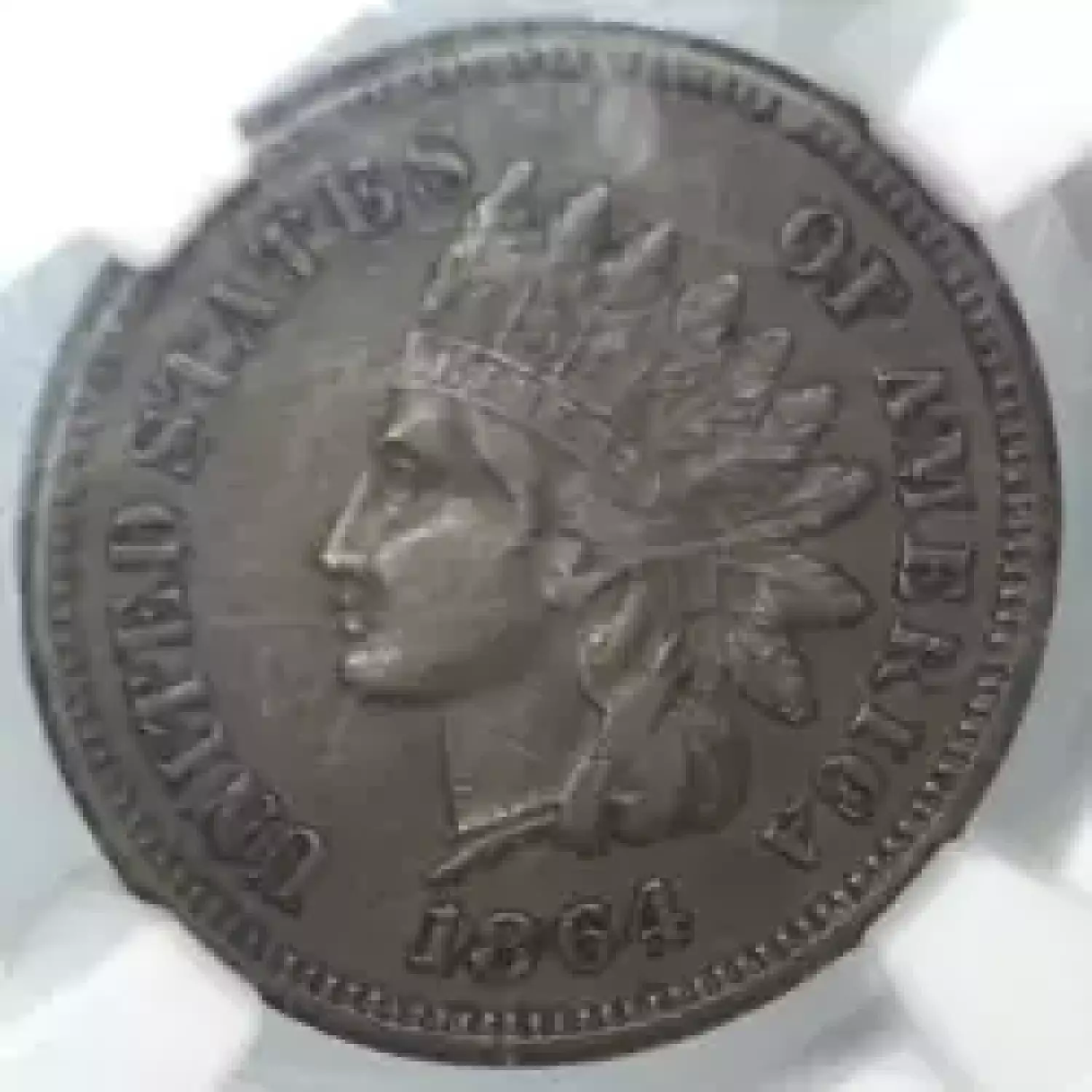 1864 Indian Head Cent NGC XF-45 BN L on Ribbon - Old Pueblo Coin