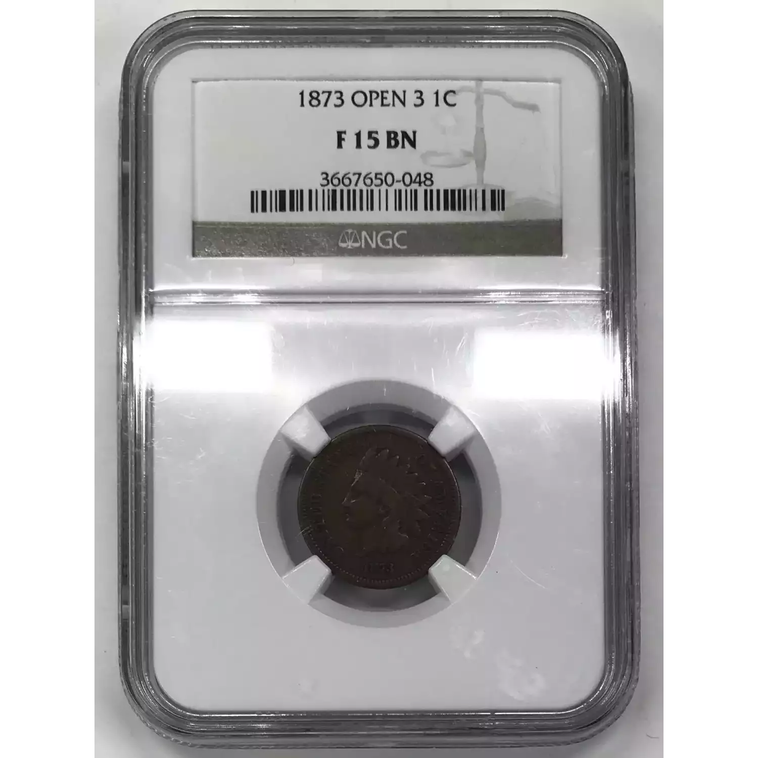 1873 Indian Head Cent NGC F-15 BN OPEN 3 - Old Pueblo Coin