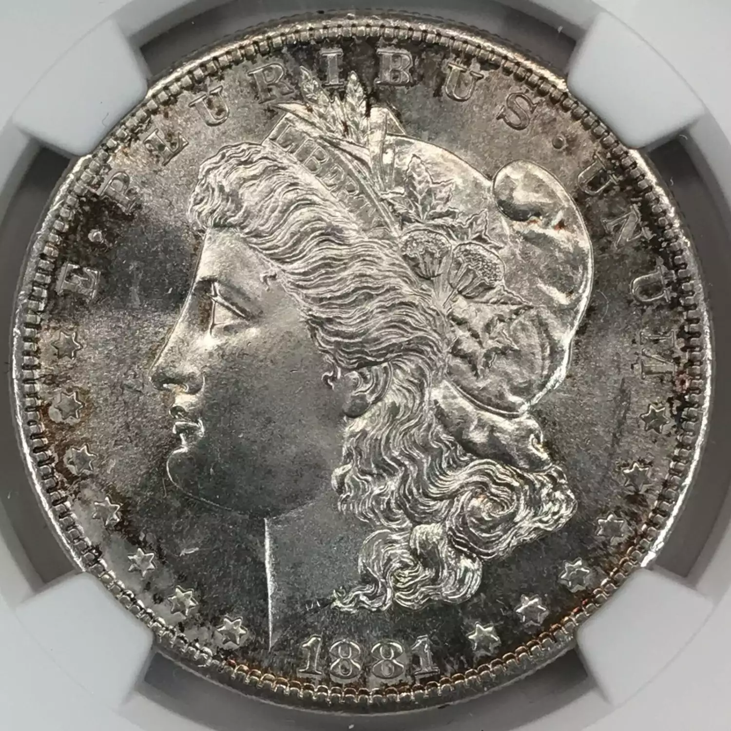 1881-S Morgan Silver Dollar NGC MS-64 - Old Pueblo Coin