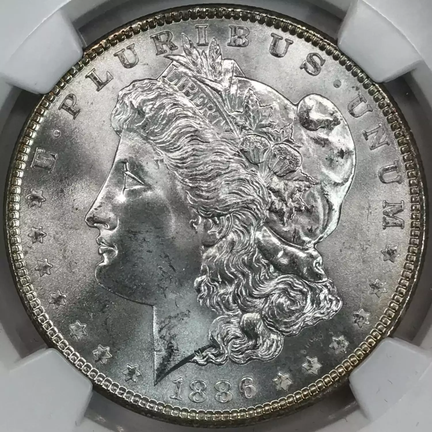 1886 Morgan Silver Dollar NGC MS-66+ - Old Pueblo Coin