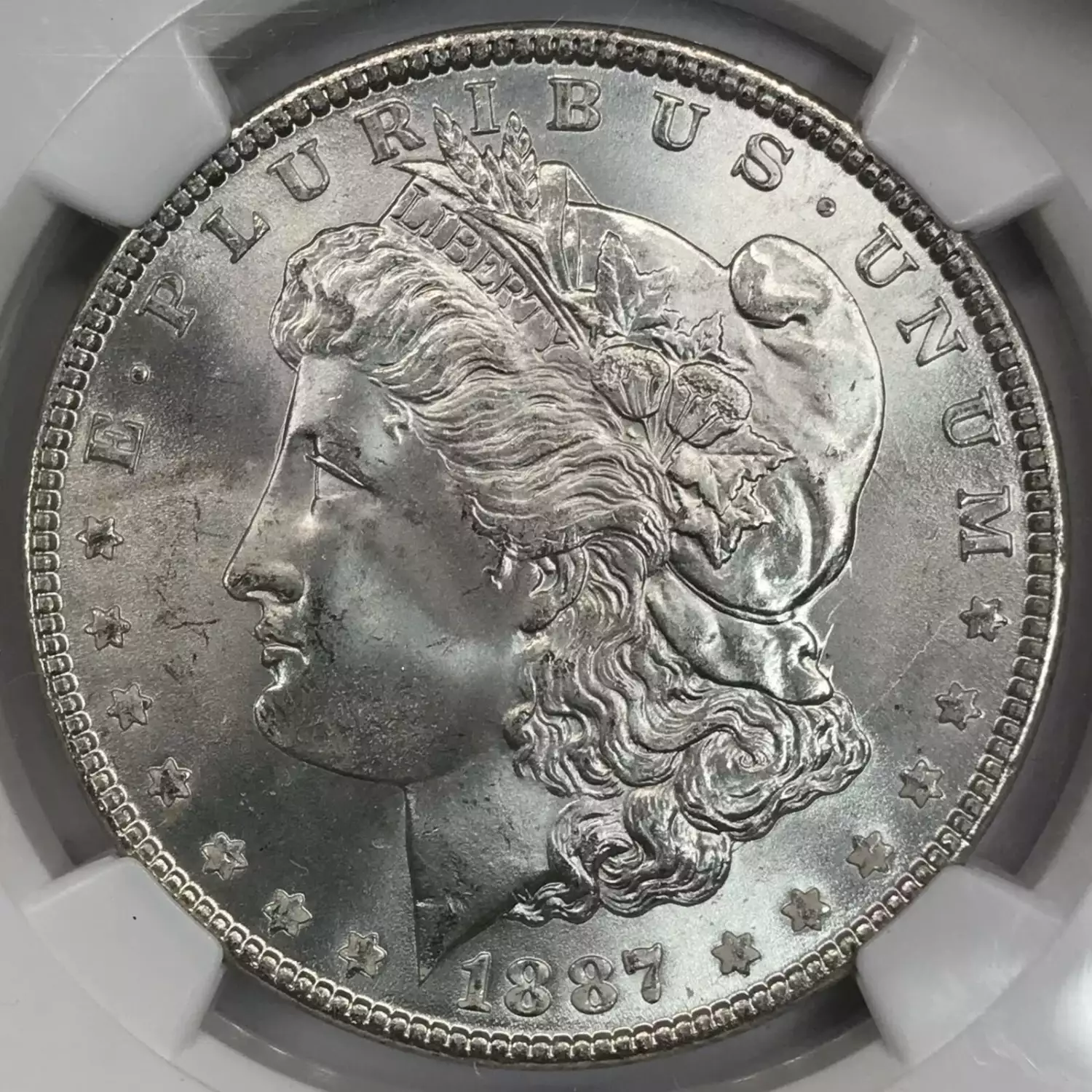 1887 Morgan Silver Dollar NGC MS-66 VAM-12 DDO GATOR EYE - Old Pueblo Coin