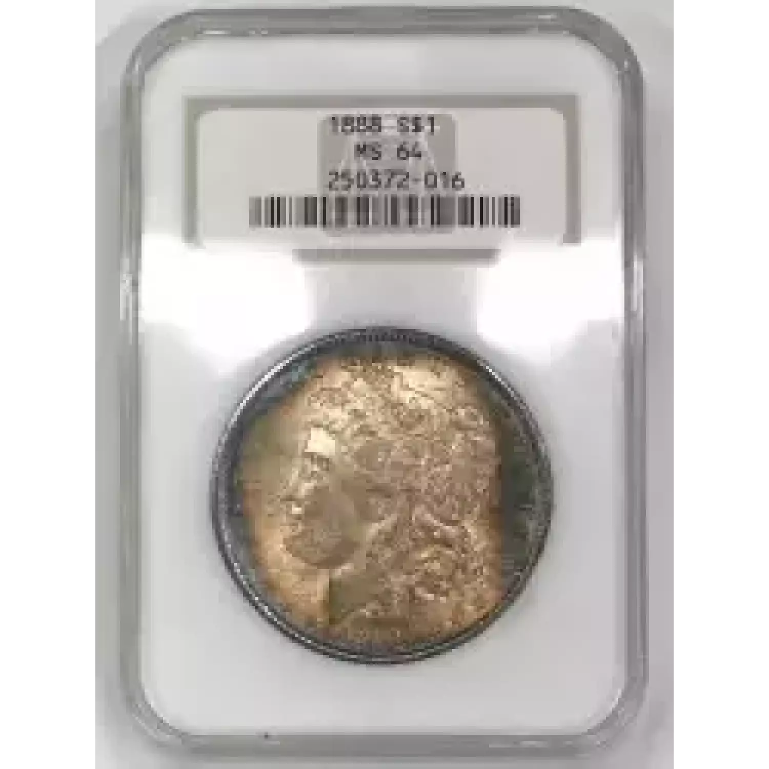 1888 Morgan Silver Dollar NGC MS-64 - Old Pueblo Coin