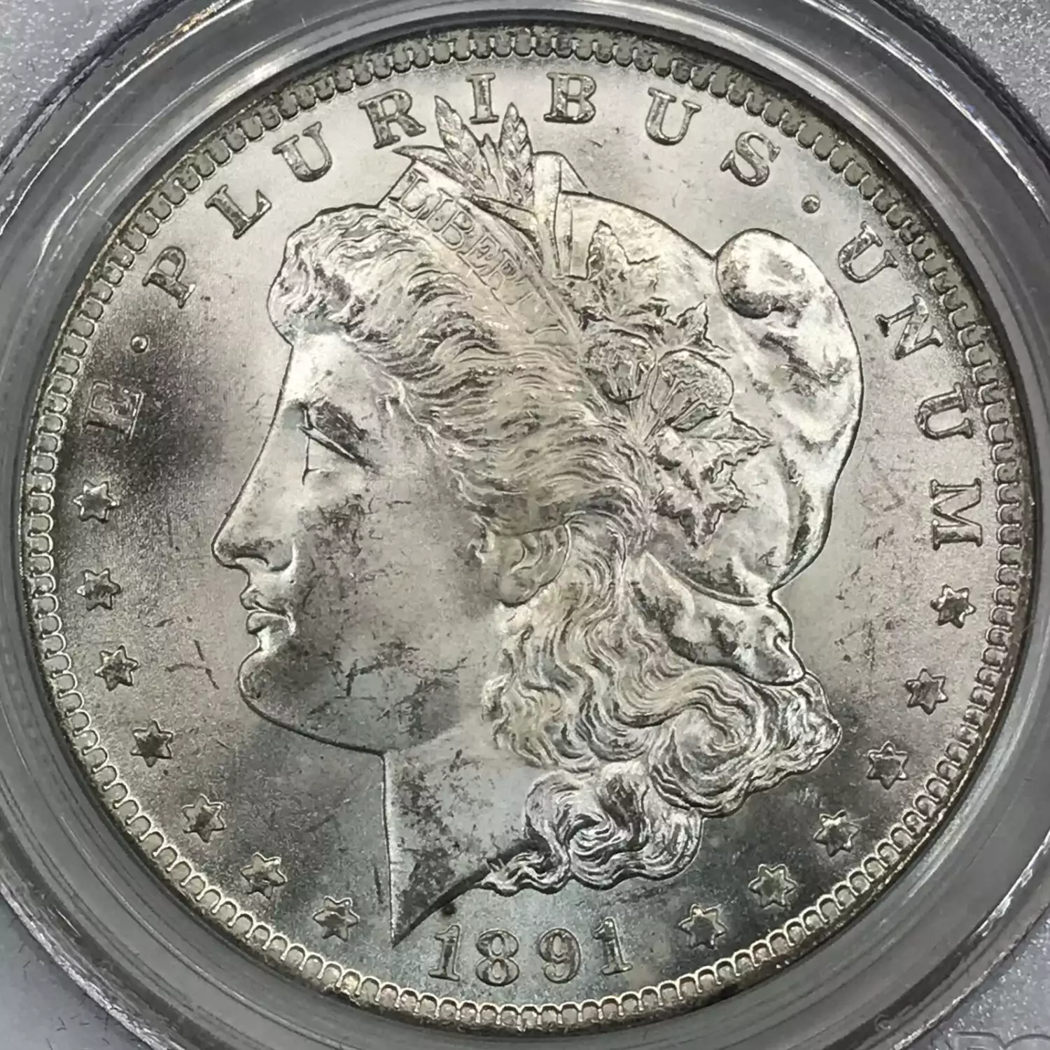 1891-CC Morgan Silver Dollar PCGS MS-64 TOP 100 VAM-3 Spitting Eagle - Old Pueblo Coin