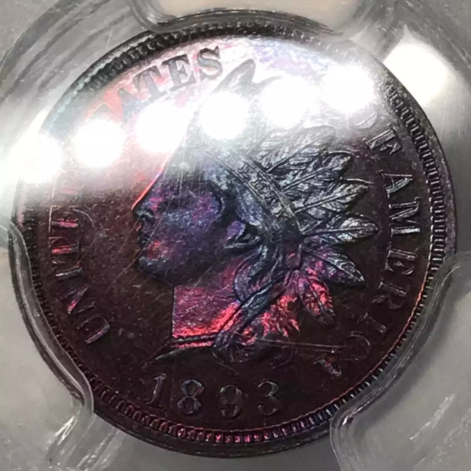 1893 Indian Head Cent PCGS PR-65 BN - Old Pueblo Coin