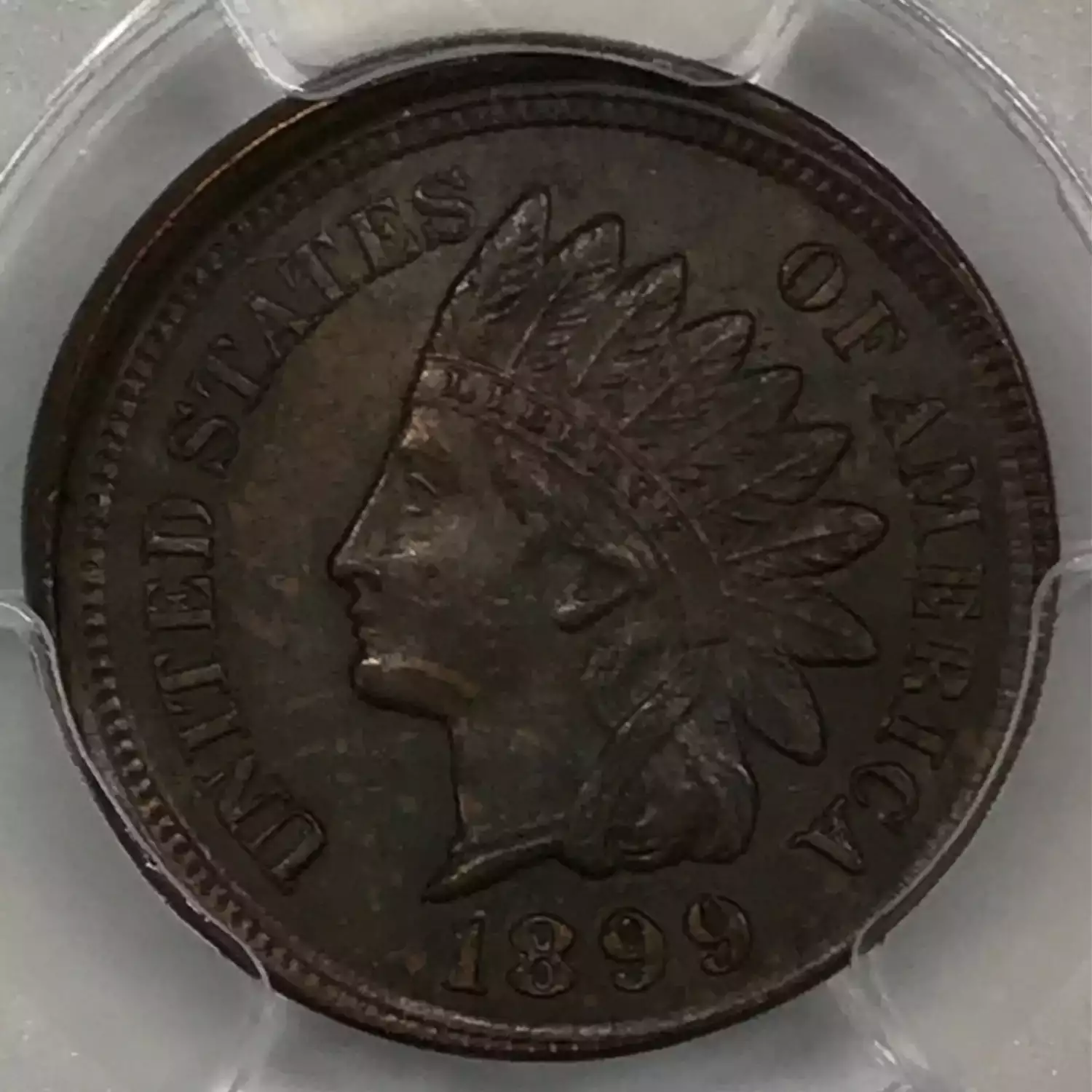 1899 Indian Head Cent PCGS MS-63 BN - Old Pueblo Coin
