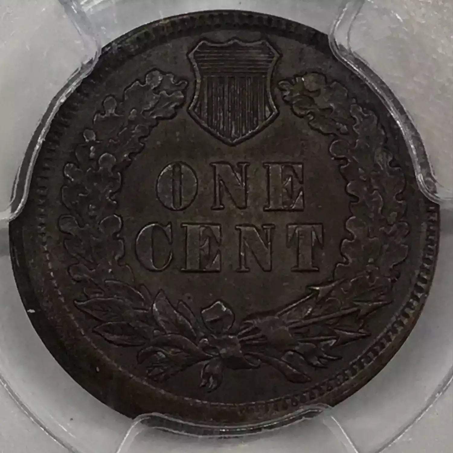 1899 Indian Head Cent PCGS MS-63 BN - Old Pueblo Coin