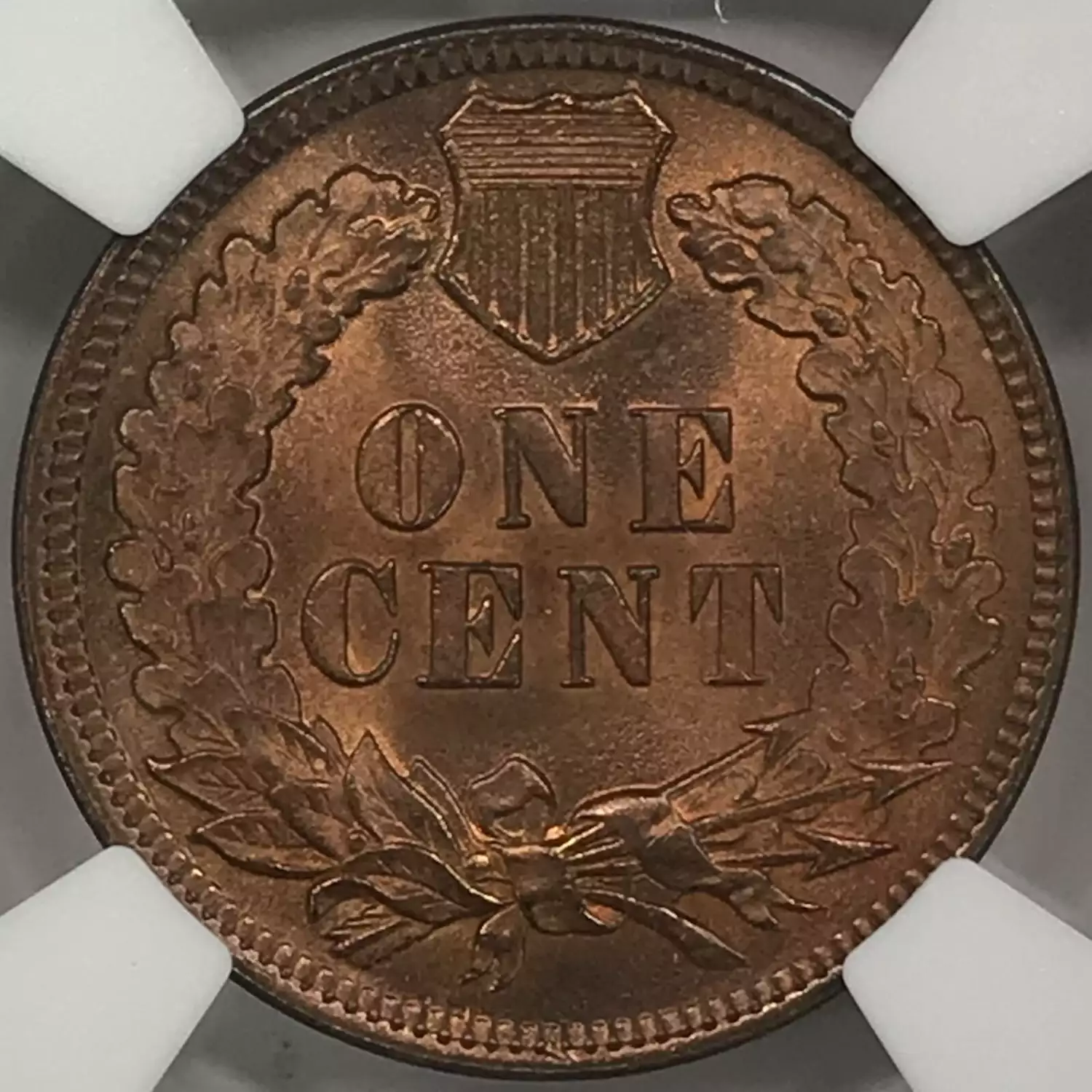 1899 Indian Head Cent NGC MS-64 RB - Old Pueblo Coin