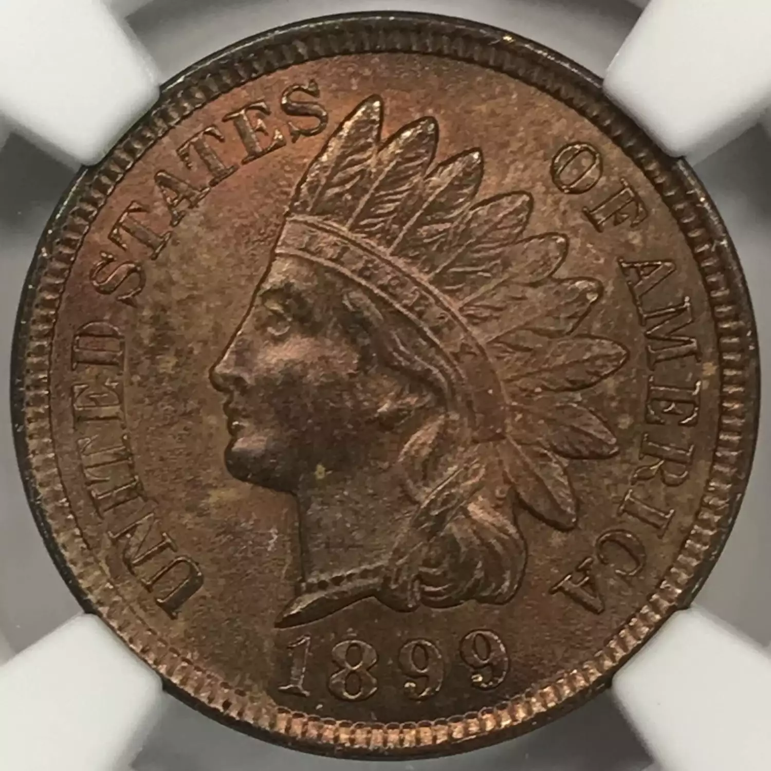 1899 Indian Head Cent NGC MS-63 RB - Old Pueblo Coin