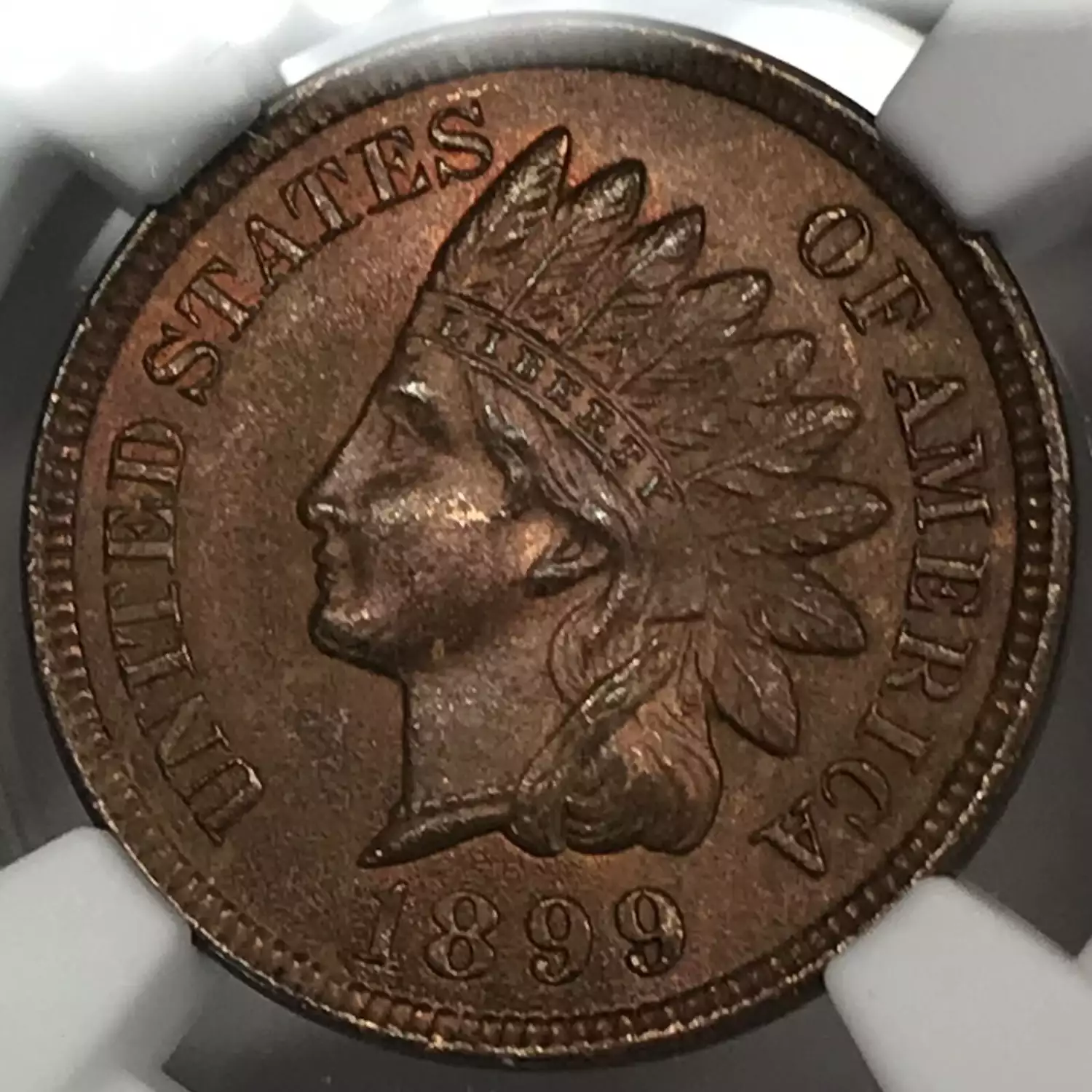 1899 Indian Head Cent NGC MS-63 RB - Old Pueblo Coin
