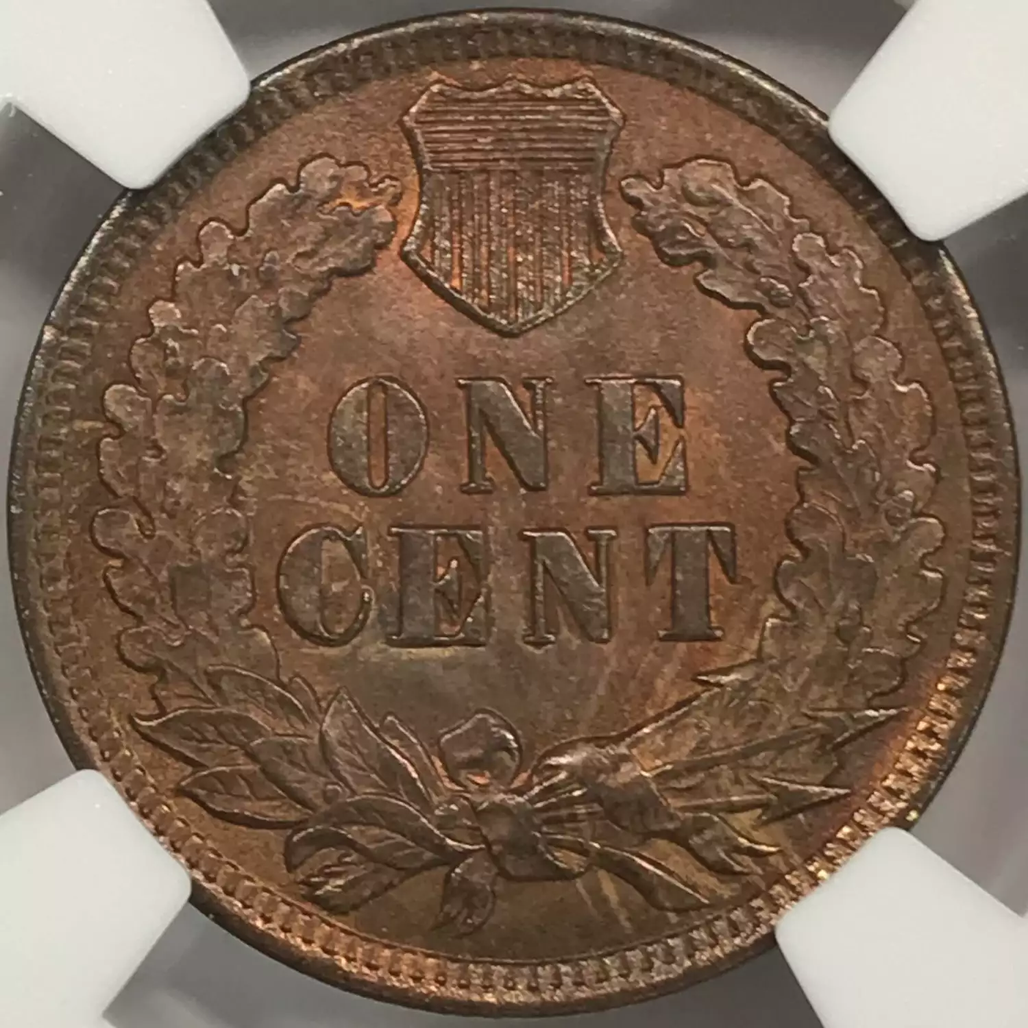 1899 Indian Head Cent NGC MS-64 RB - Old Pueblo Coin