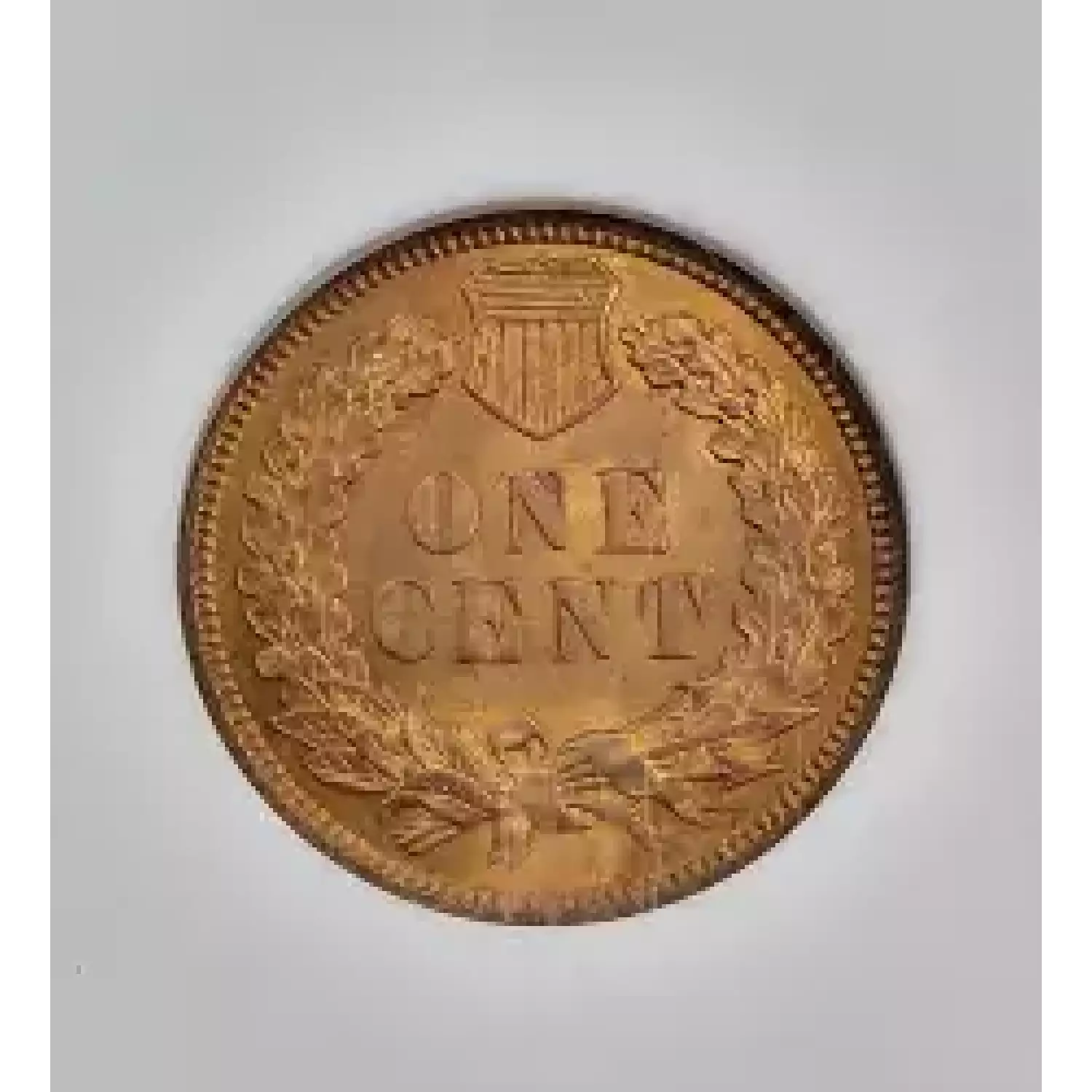 1905 Indian Head Cent NGC MS-64 RB - Old Pueblo Coin