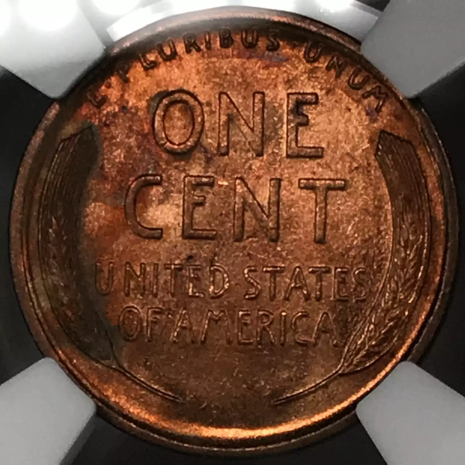 1909 Lincoln Wheat Cent NGC MS-64 RD - Old Pueblo Coin