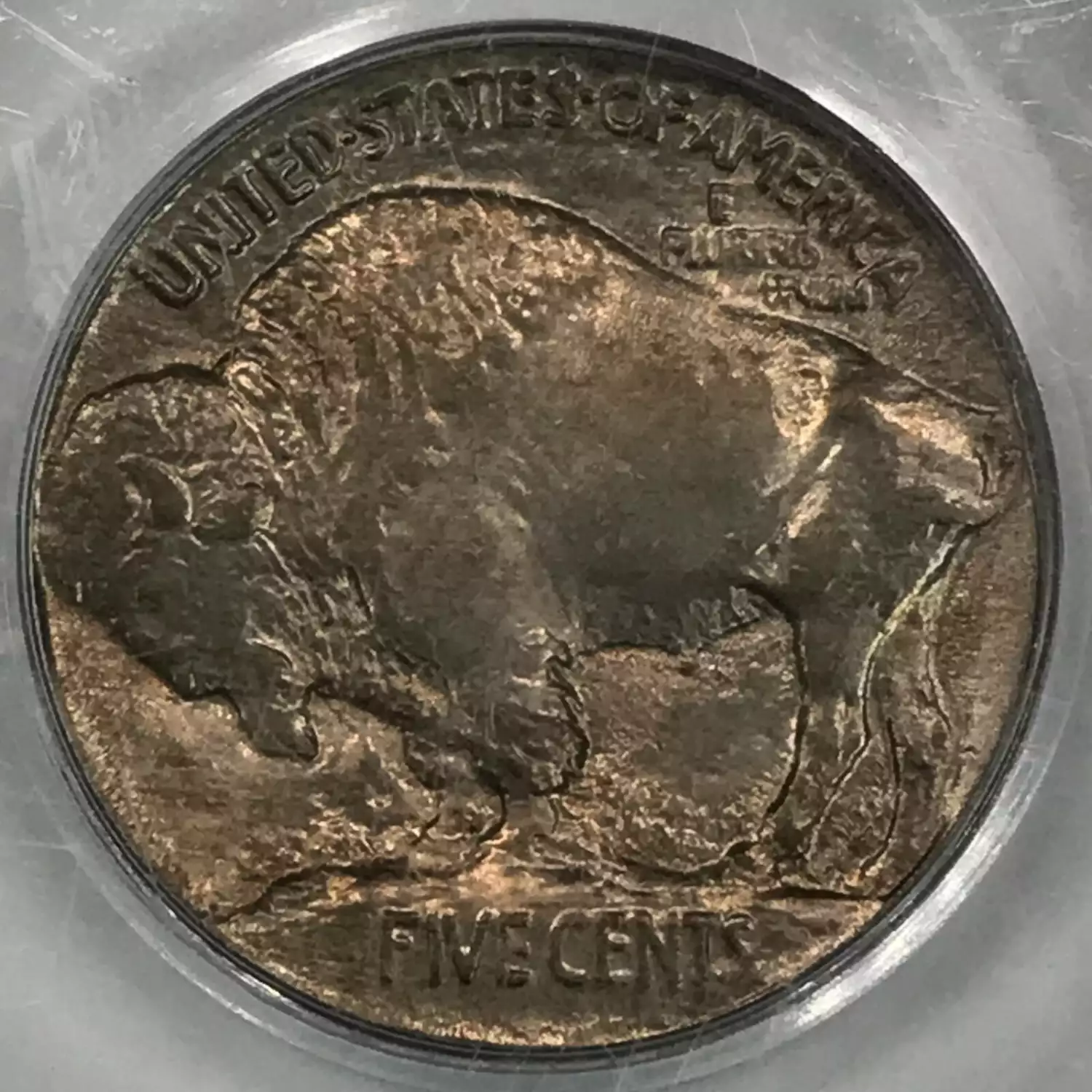 1913 Buffalo Nickel PCGS MS-64 Type 1 - Old Pueblo Coin