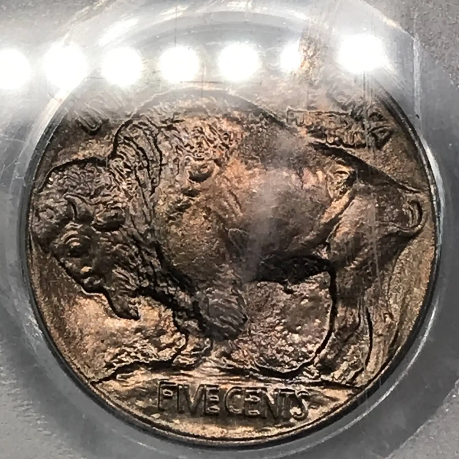 1913 Buffalo Nickel PCGS MS-67 Type 1 - Old Pueblo Coin