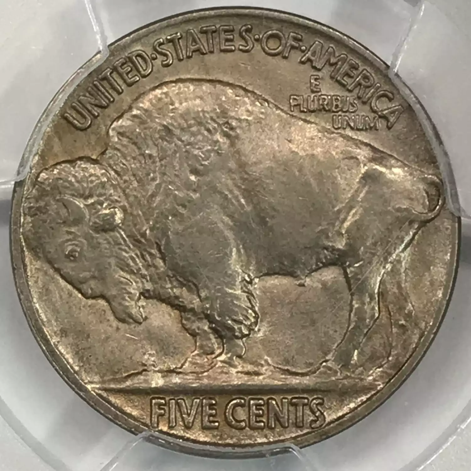 1919 Buffalo Nickel PCGS MS-64 - Old Pueblo Coin