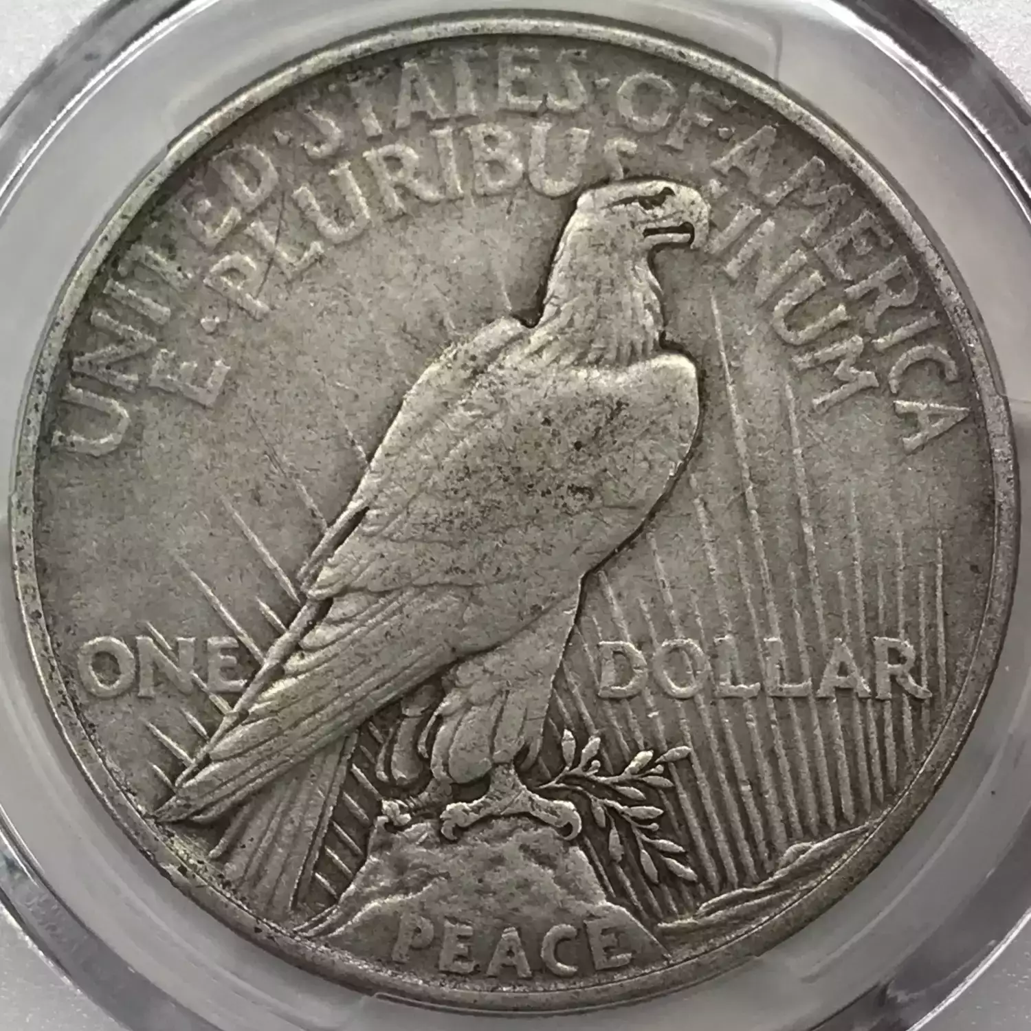 1921 Peace Silver Dollar PCGS XF-40 High Relief - Old Pueblo Coin