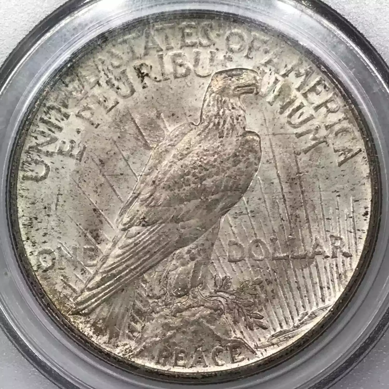 1921 Peace Silver Dollar PCGS MS-63 High Relief - Old Pueblo Coin