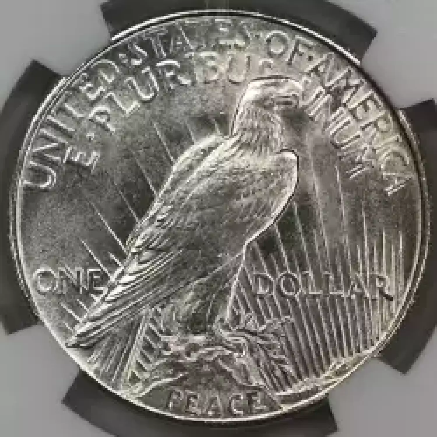 1921 Peace Silver Dollar NGC UNC-Details HIGH RELIEF - Old Pueblo Coin