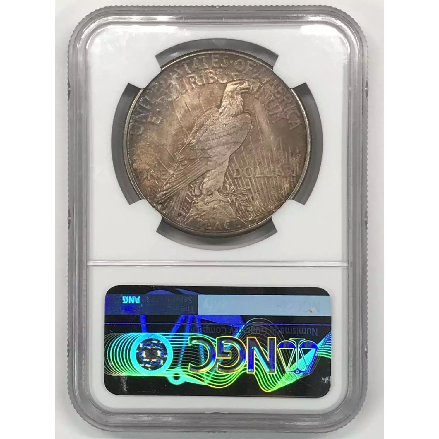 1921 Peace Silver Dollar NGC MS-64 HIGH RELIEF - Old Pueblo Coin