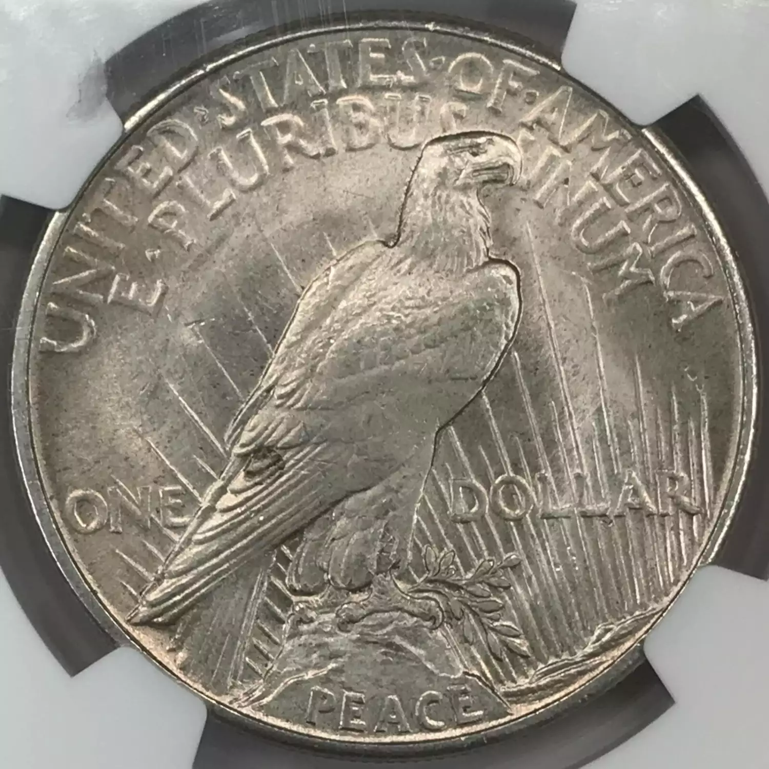 1921 Peace Silver Dollar NGC MS-64 HIGH RELIEF CAC - Old Pueblo Coin