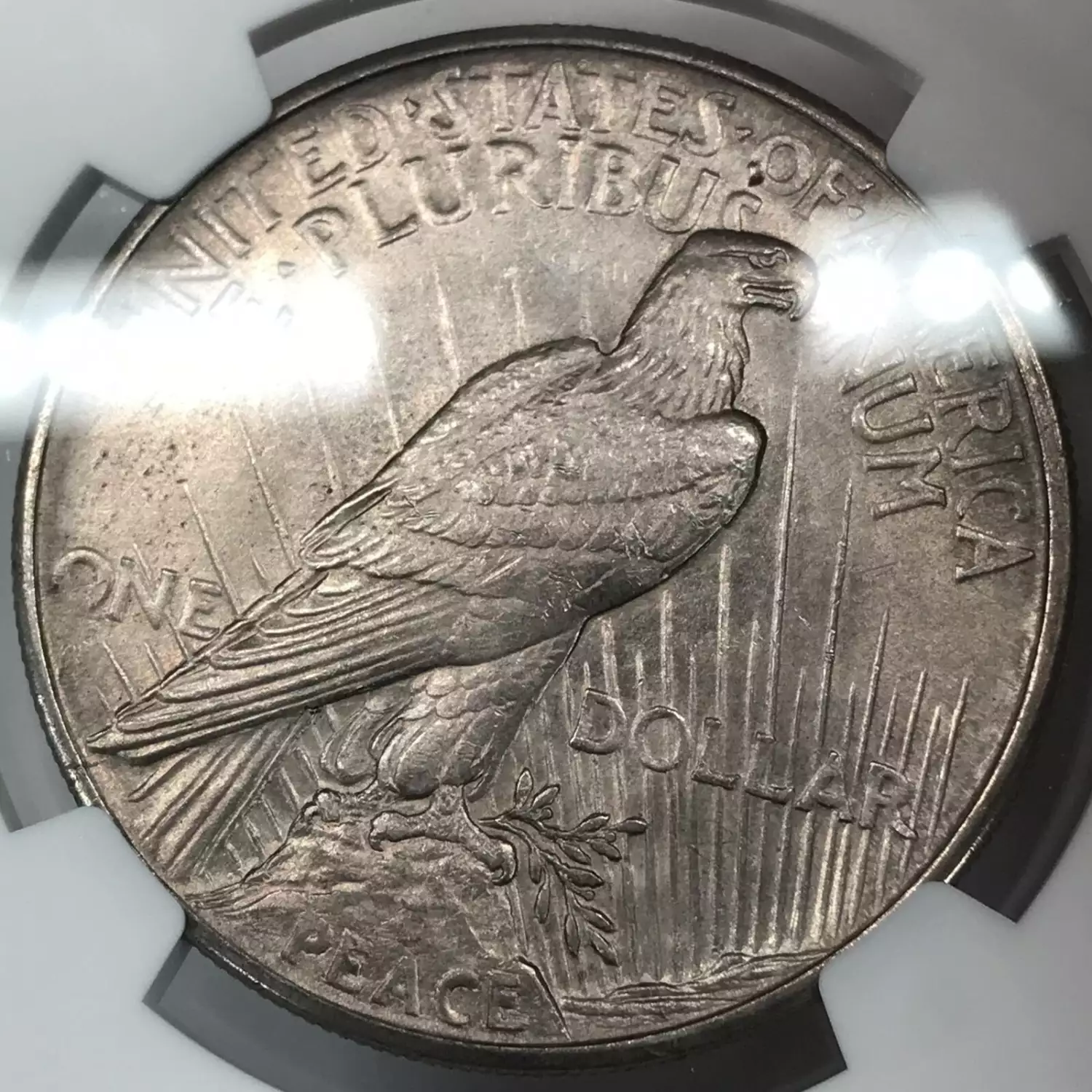 1921 Peace Silver Dollar NGC UNC-Details HIGH RELIEF - Old Pueblo Coin