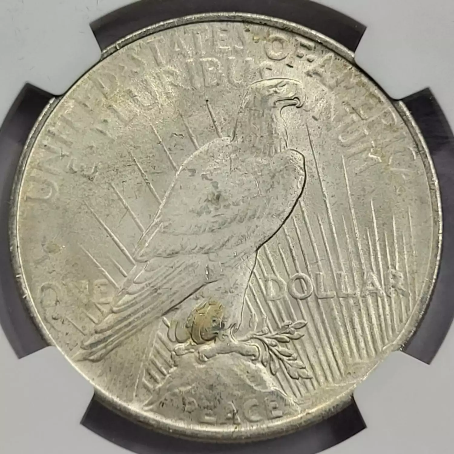 1922 Peace Silver Dollar NGC MS-65 - Old Pueblo Coin