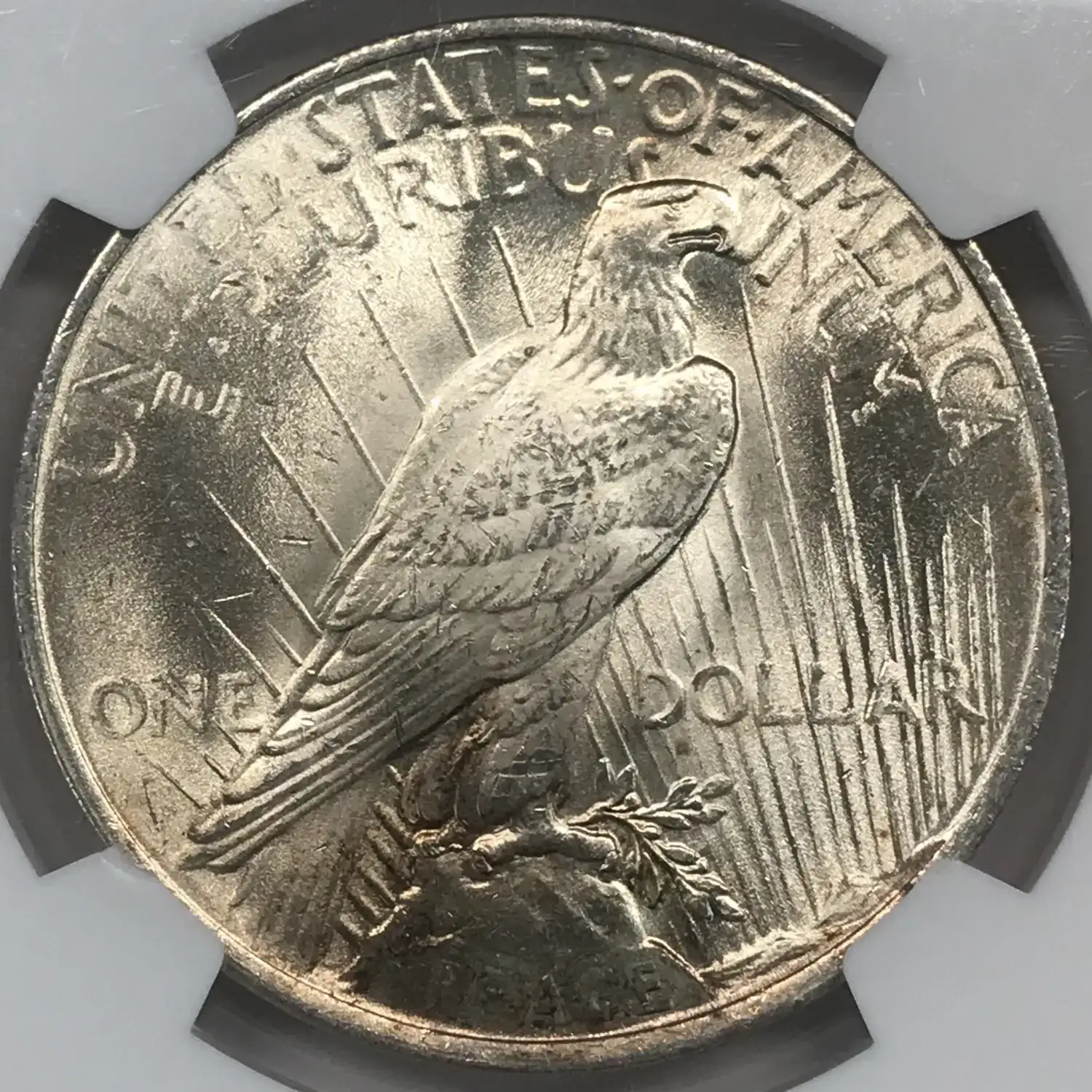 1922 Peace Silver Dollar NGC MS-64 - Old Pueblo Coin