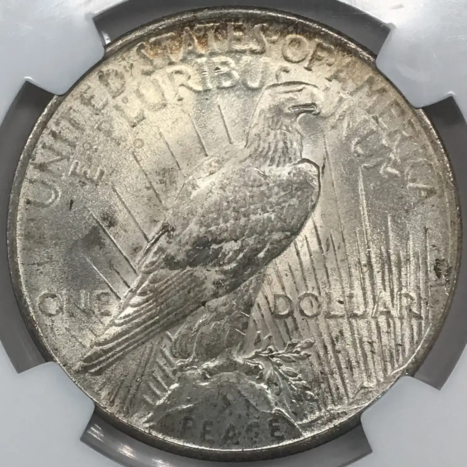 1922 Peace Silver Dollar NGC MS-63 - Old Pueblo Coin