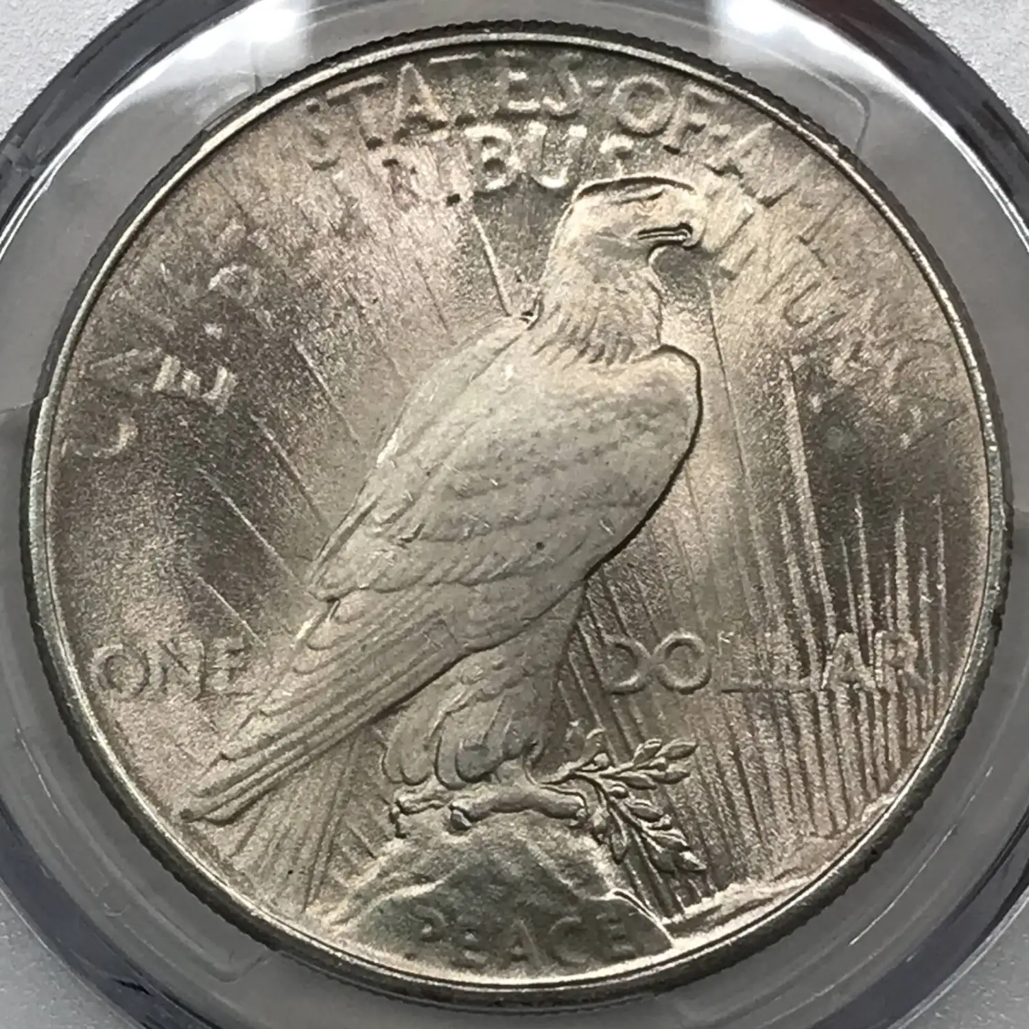 1924 Peace Silver Dollar PCGS MS-64 - Old Pueblo Coin