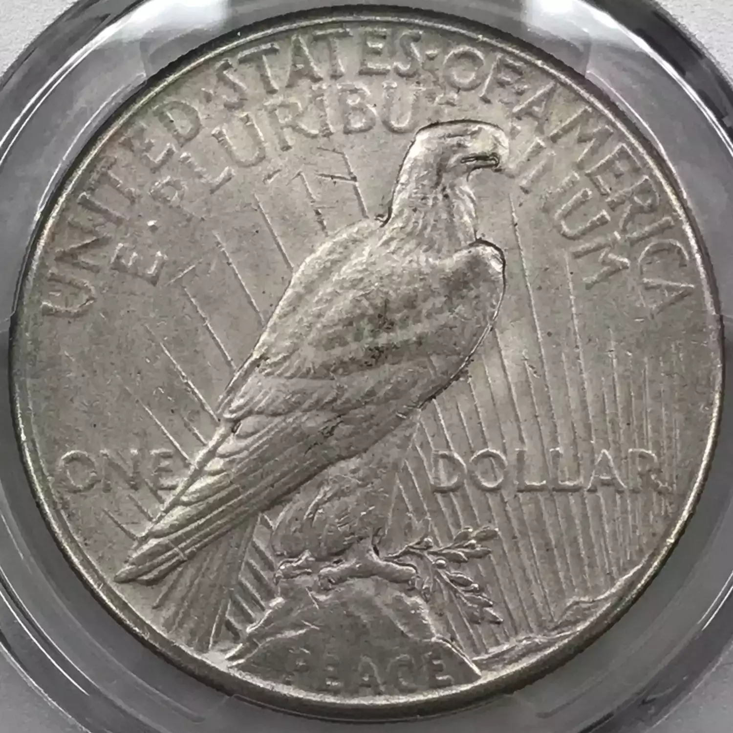 1928 Peace Silver Dollar PCGS AU-53 - Old Pueblo Coin