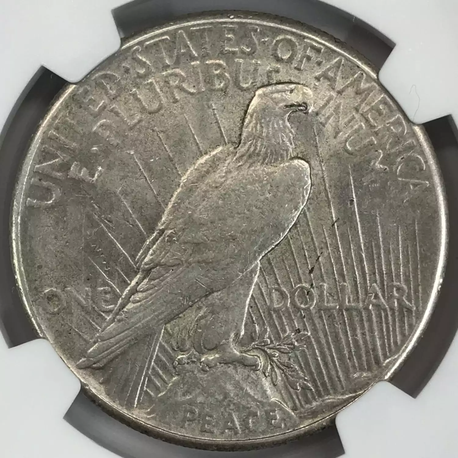 1928 Peace Silver Dollar NGC AU-Details - Old Pueblo Coin