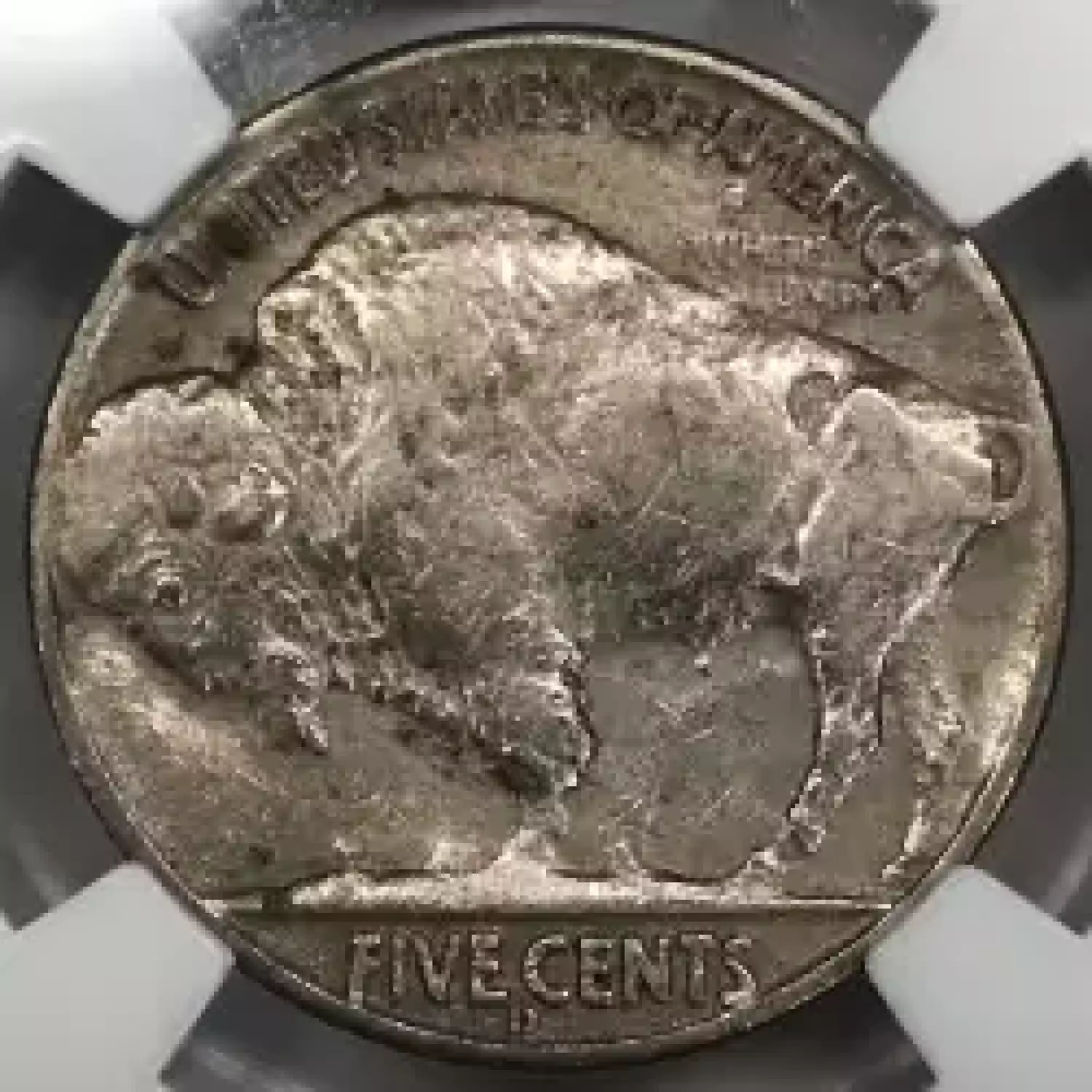 1937-D Buffalo Nickel NGC XF-40 3 Legs - Old Pueblo Coin