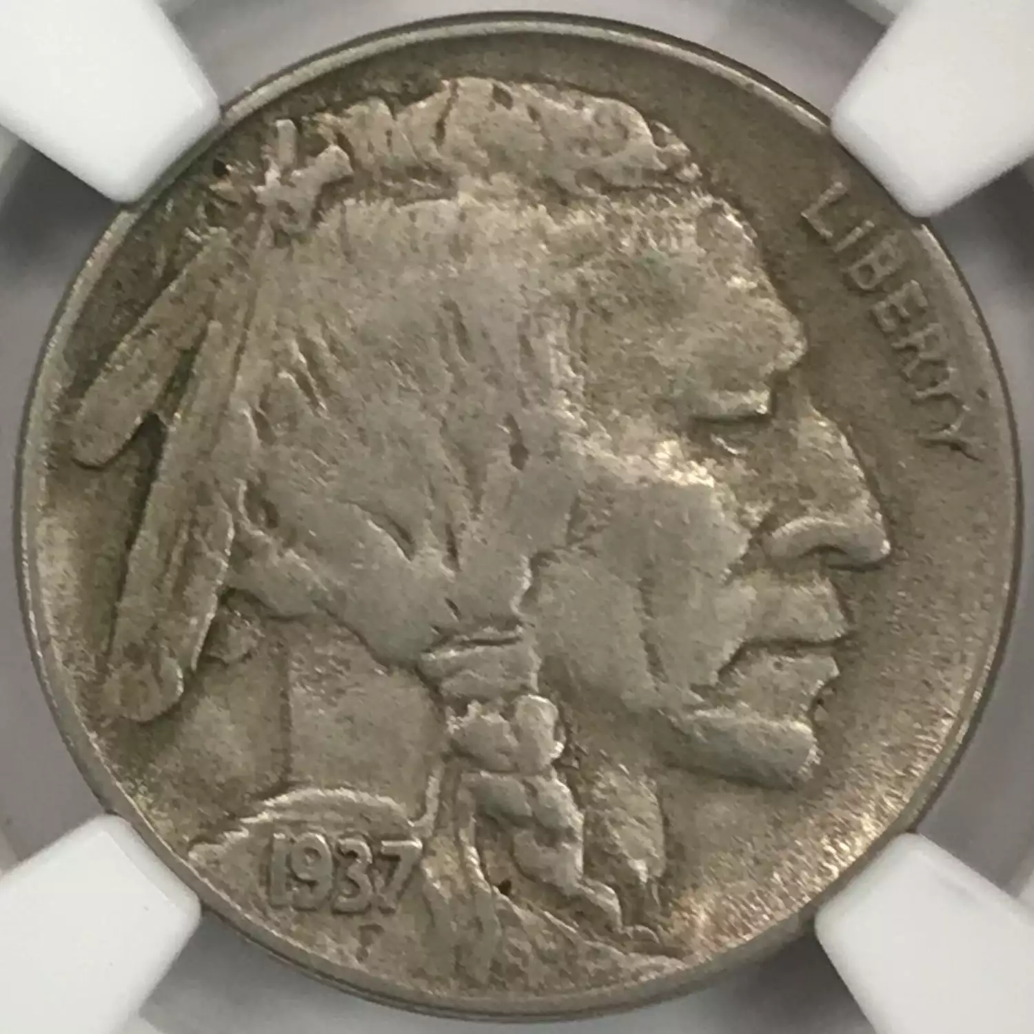 1937-D Buffalo Nickel NGC AU-50 3 Legs - Old Pueblo Coin