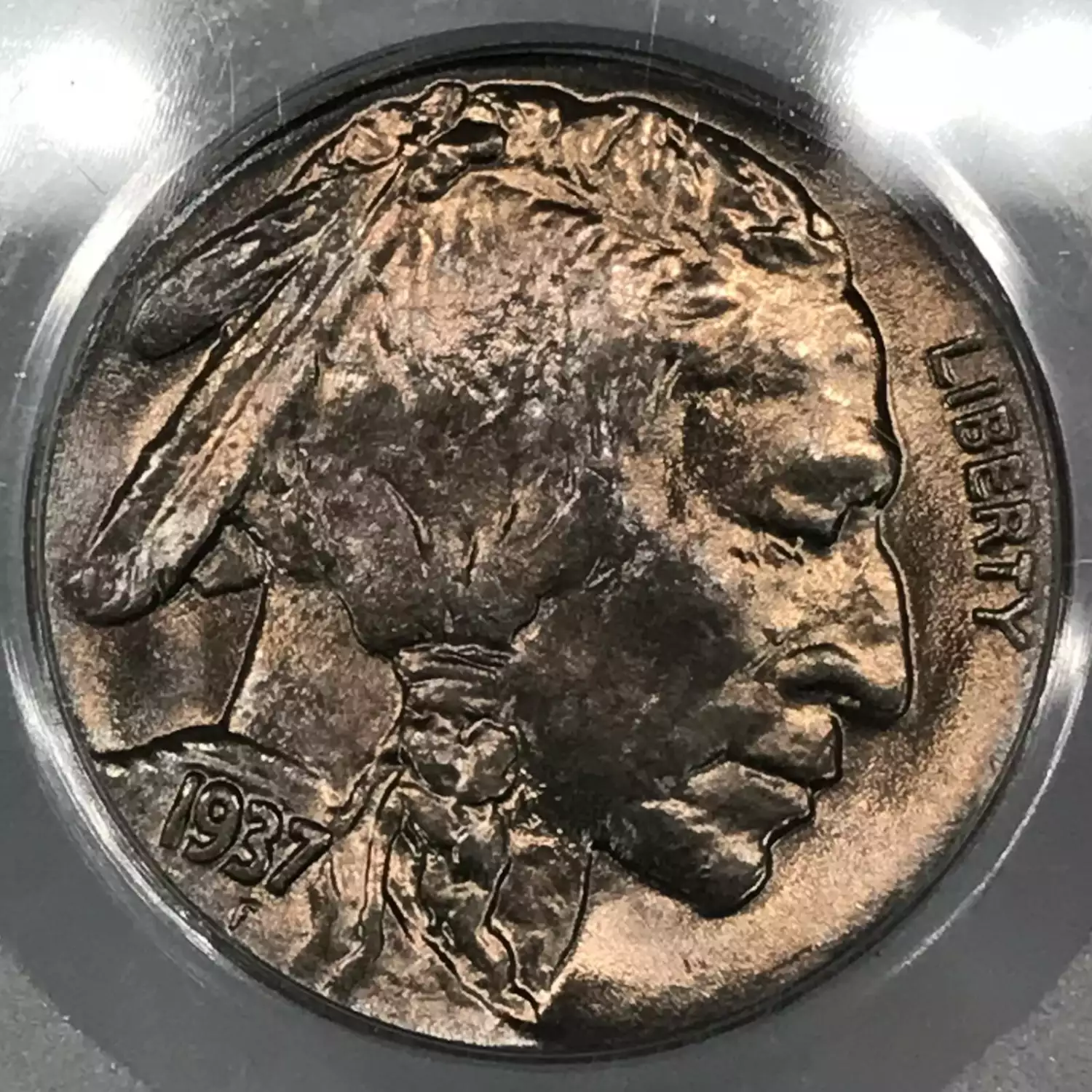1937-D Buffalo Nickel PCGS MS-66 CAC - Old Pueblo Coin