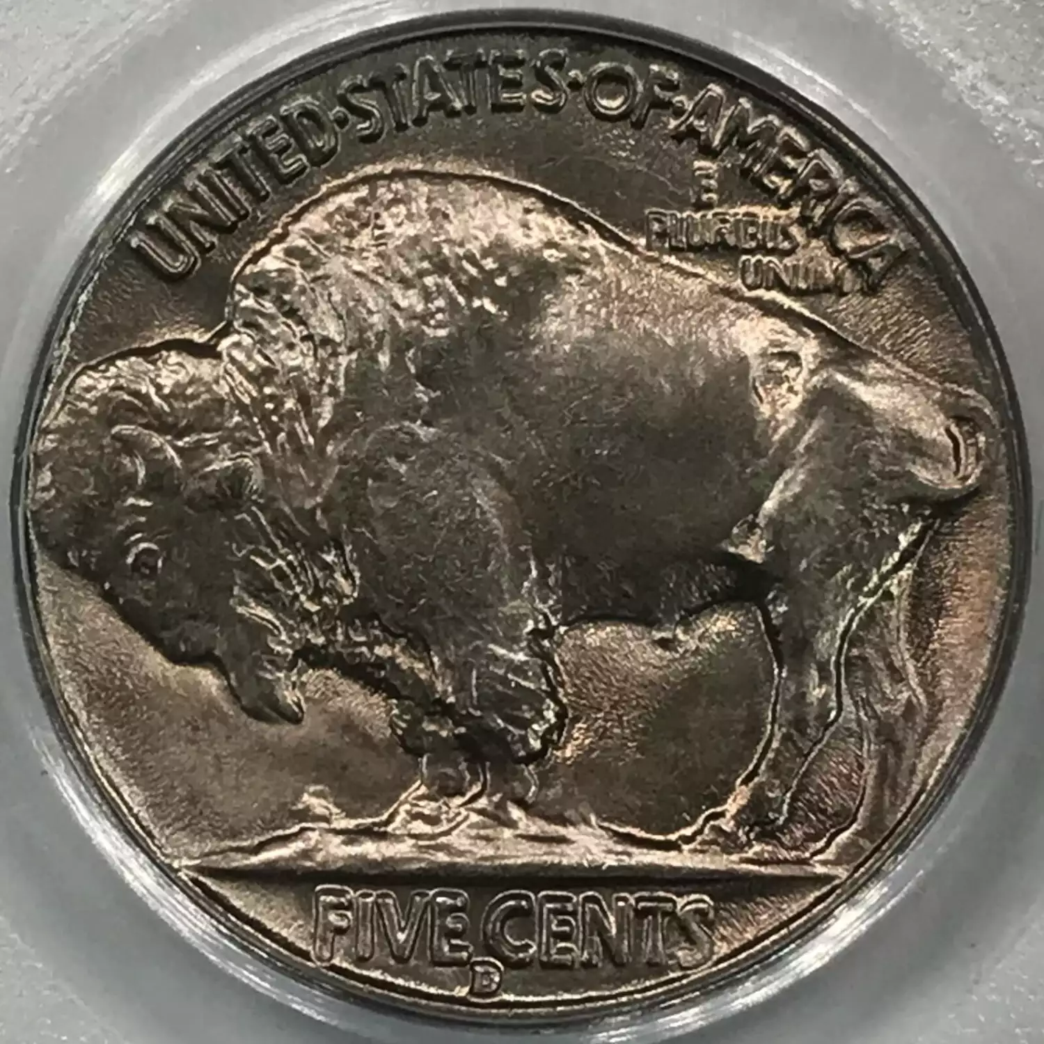 1937-D Buffalo Nickel PCGS MS-66 CAC - Old Pueblo Coin