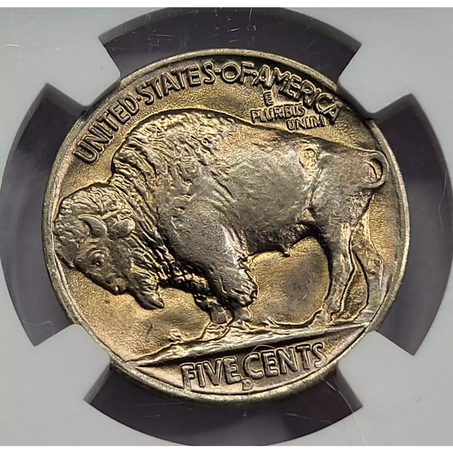 1938-D Buffalo Nickel NGC MS-66 D - Old Pueblo Coin