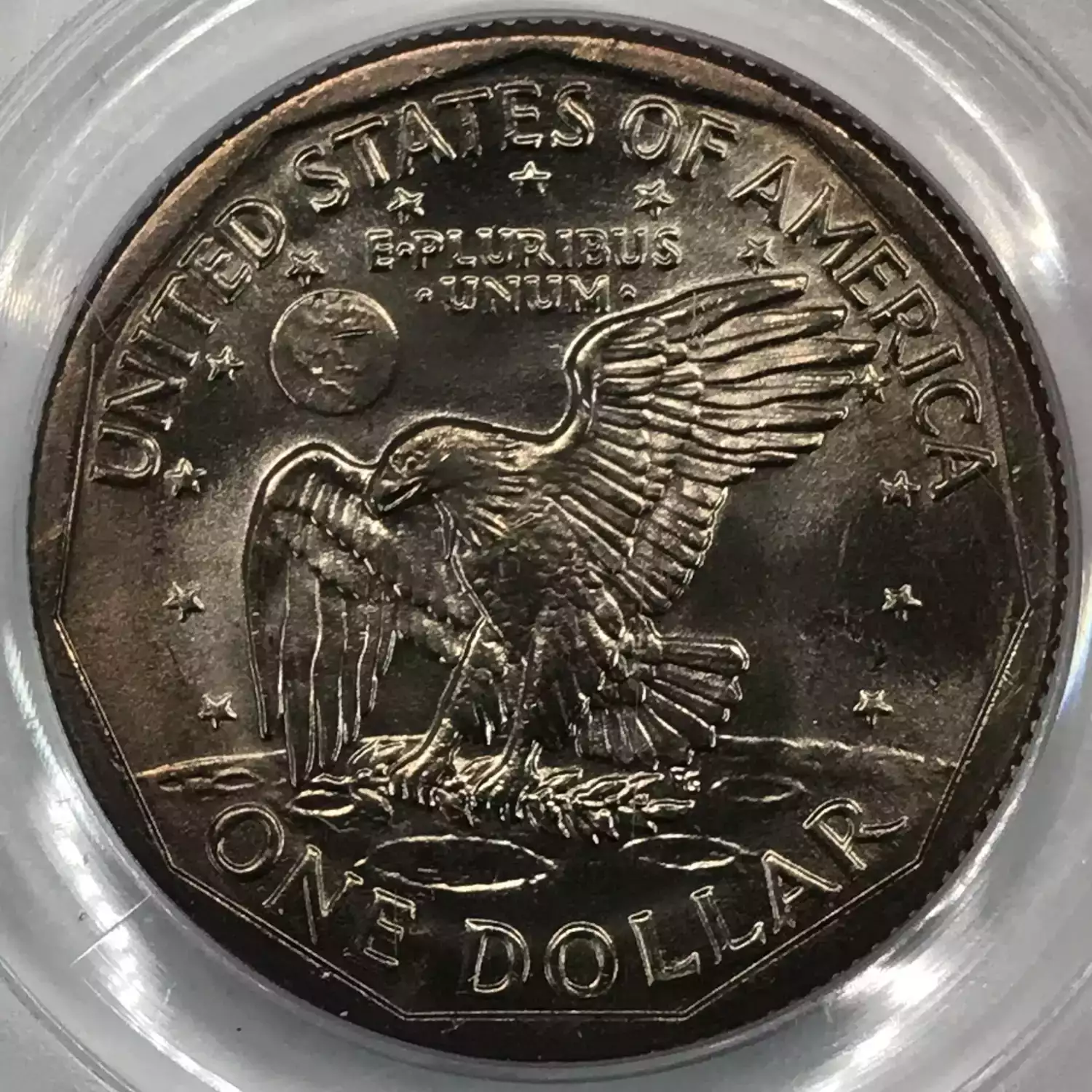 1981-D Susan B. Anthony (SBA) Dollar PCGS MS-67 - Old Pueblo Coin