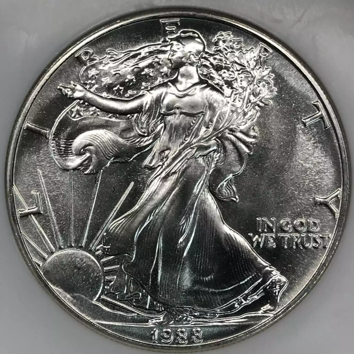 1988 Silver Eagle NGC MS-69 - Old Pueblo Coin