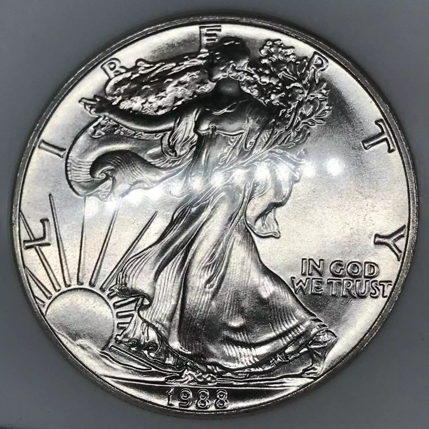 1988 Silver Eagle NGC MS-69 - Old Pueblo Coin