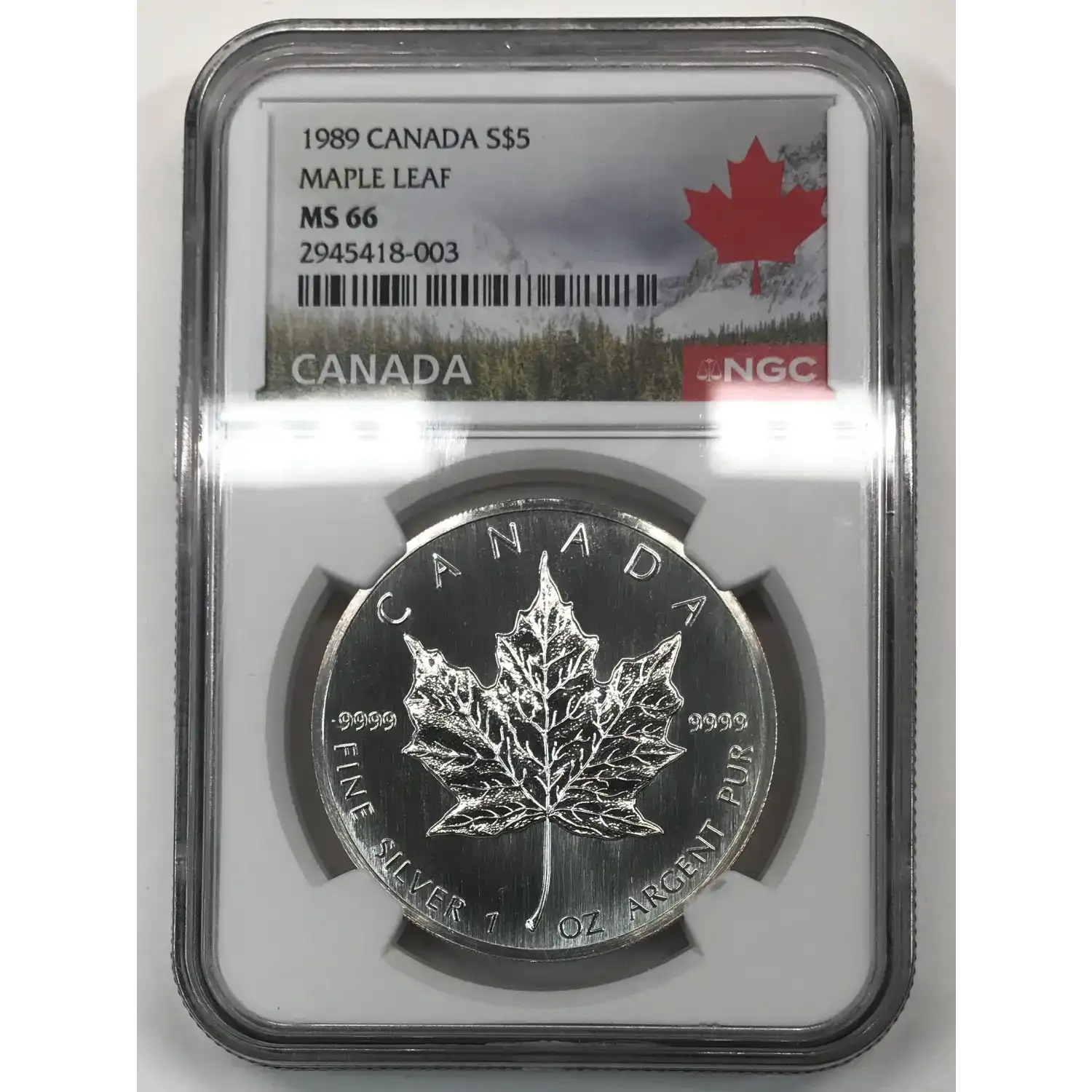 1989 Canada 1 oz Silver Maple Leaf $5 Coin NGC MS-66 - Old Pueblo Coin