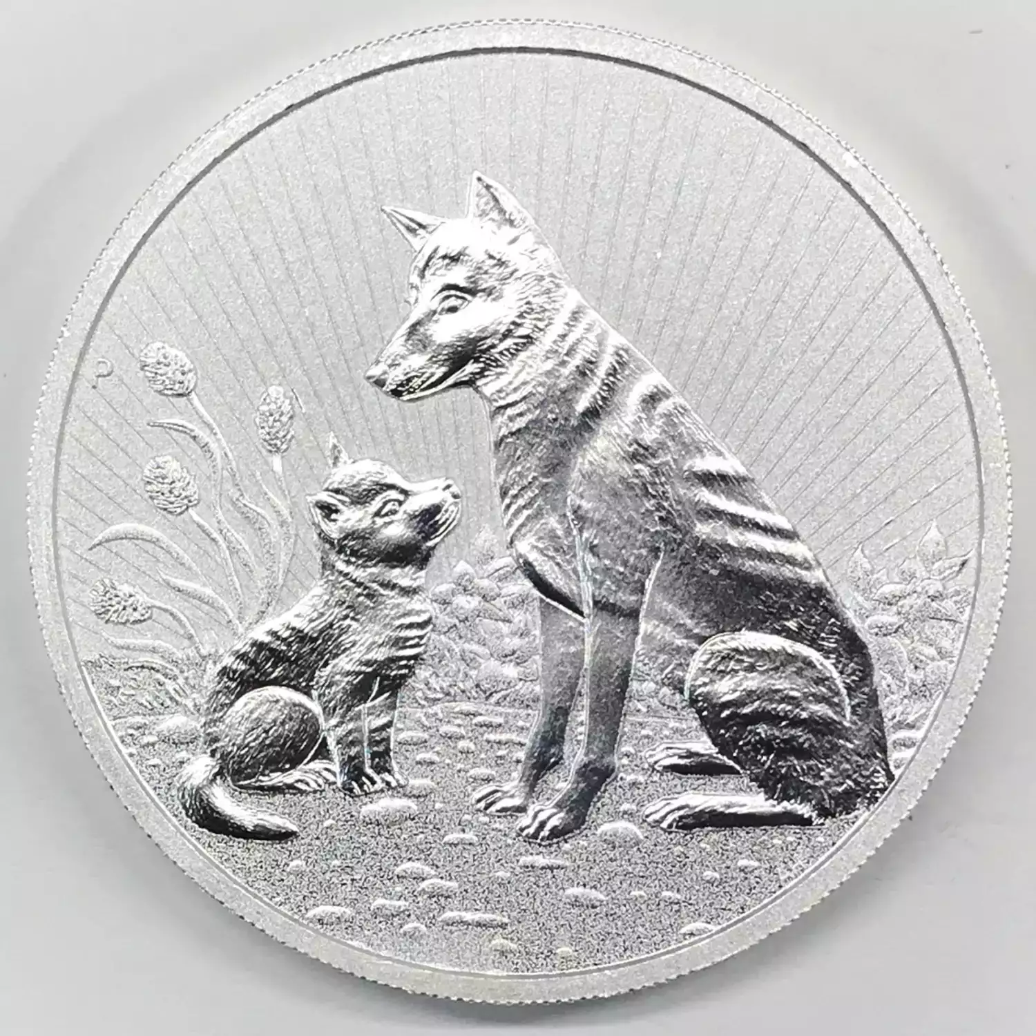 2022 2 oz Silver Australia Mother Dingo & Baby $2 - Old Pueblo Coin