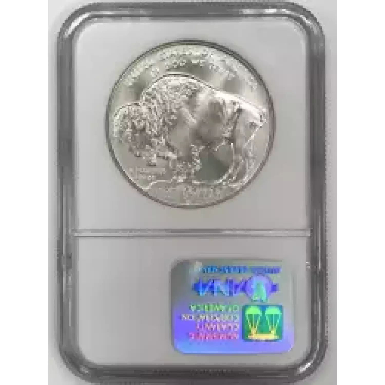 2001-D American Buffalo Commemorative Silver Dollar NGC MS-69 - Old ...