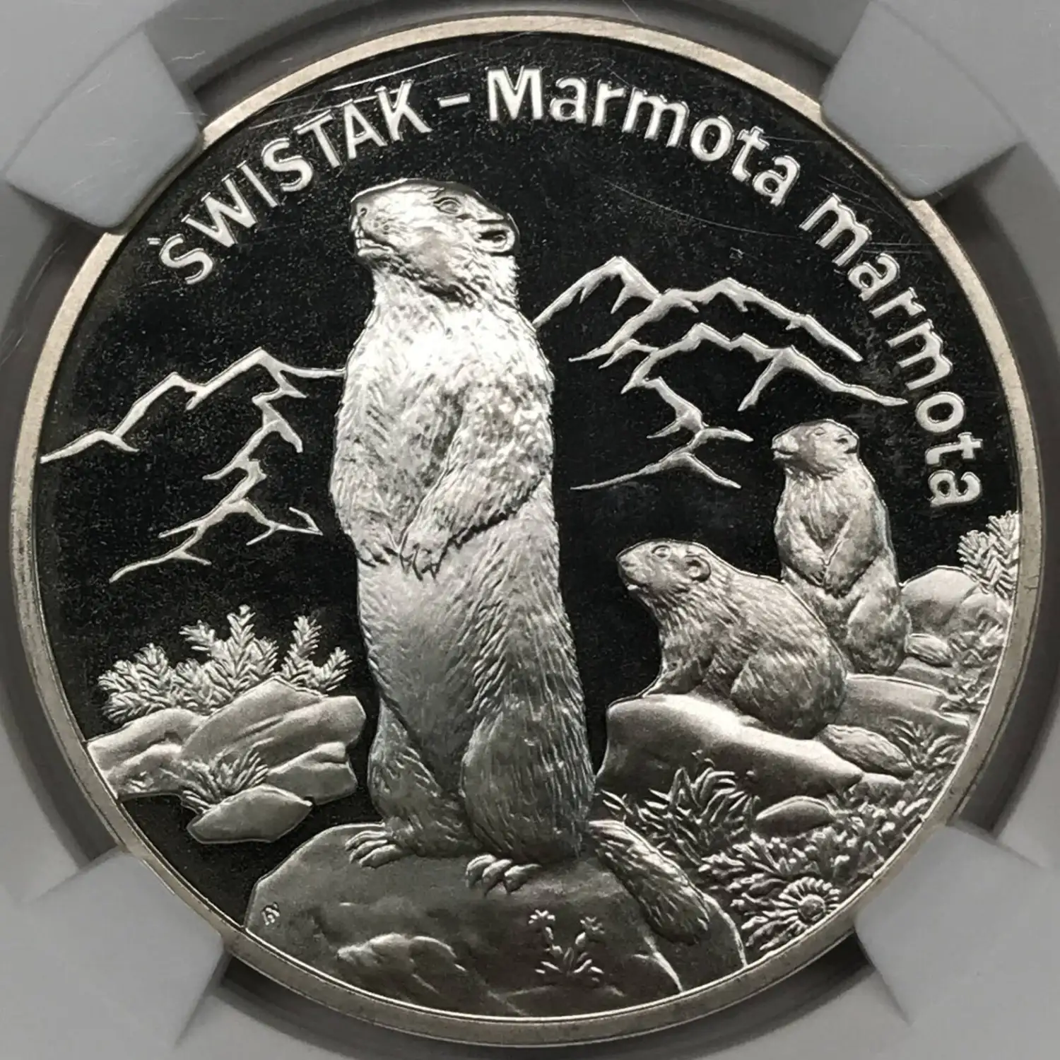 2006-MW POLAND Silver 20 ZLOTYCH NGC PF-67 ULTRA CAMEO ALPINE MARMOT ...