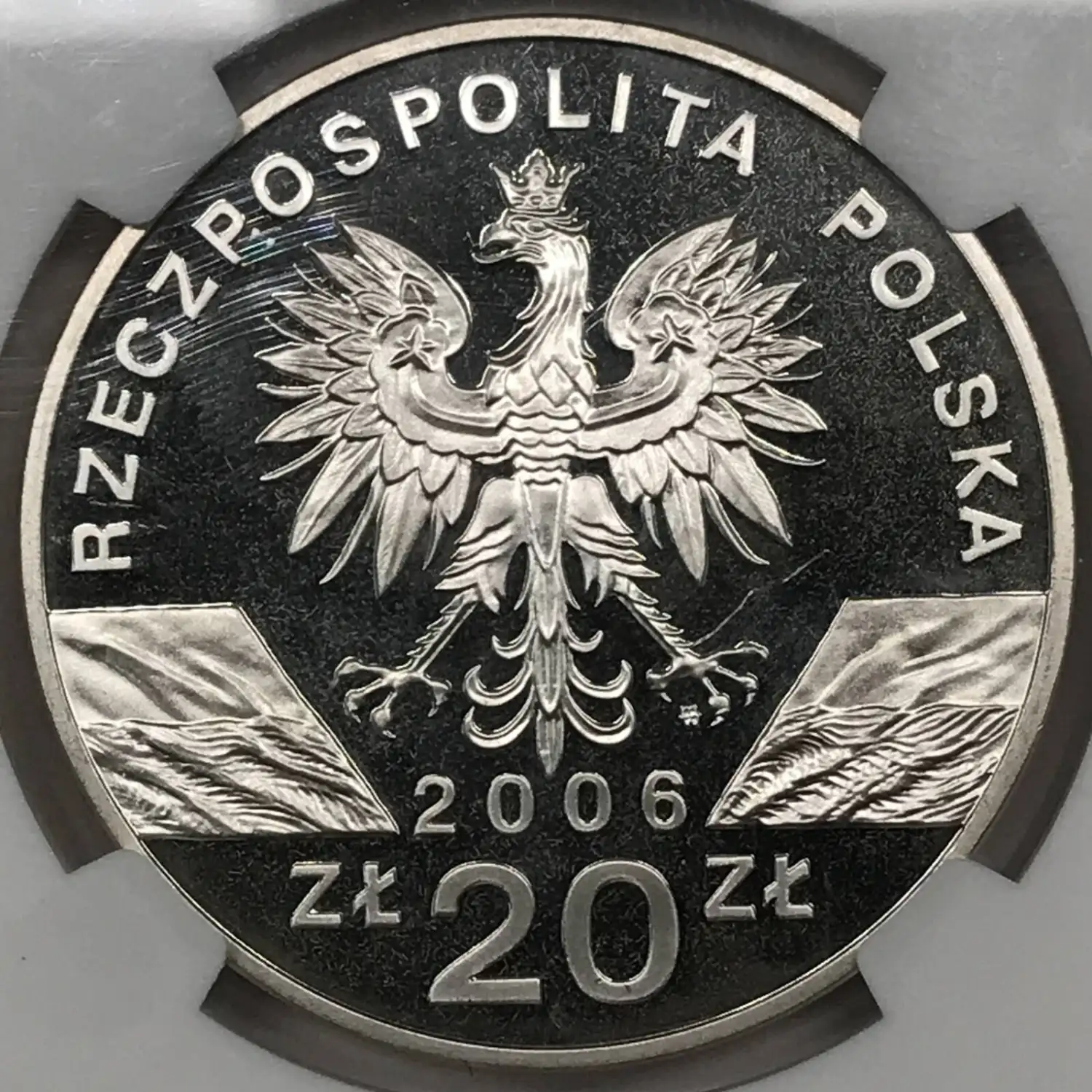 2006-MW POLAND Silver 20 ZLOTYCH NGC PF-67 ULTRA CAMEO ALPINE MARMOT ...