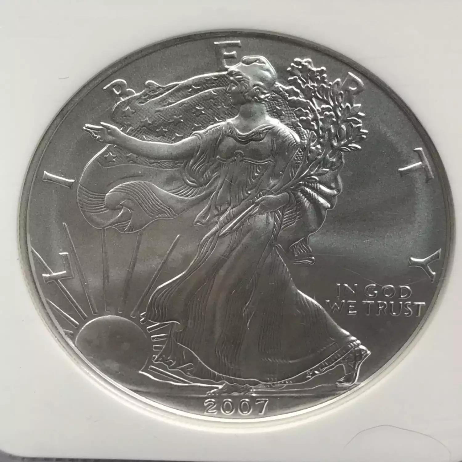 2007-W Silver Eagle NGC MS-69 Burnished - Old Pueblo Coin