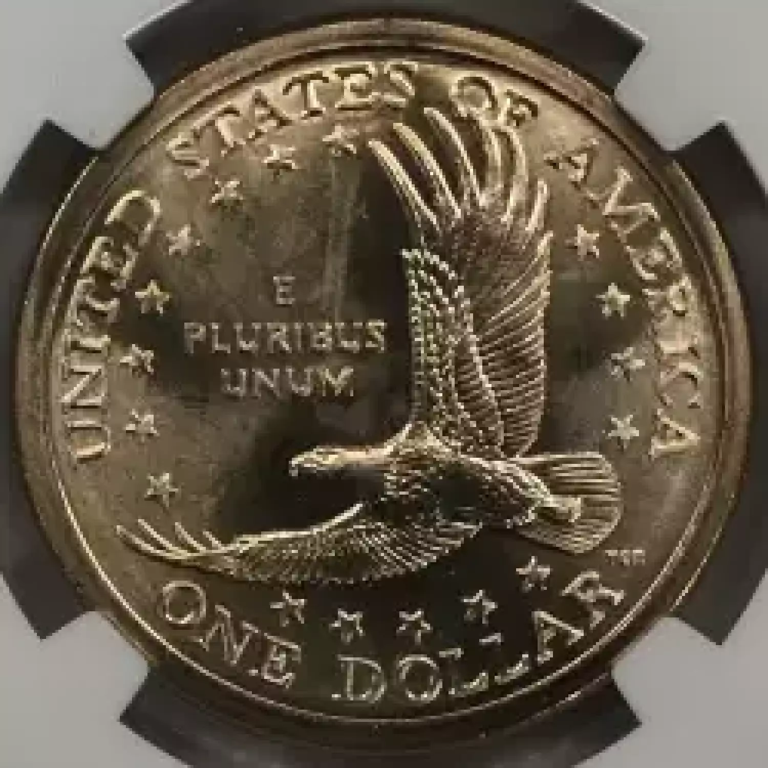 2008-D Sacagawea Dollar NGC MS-67 SMS Satin Finish - Old Pueblo Coin