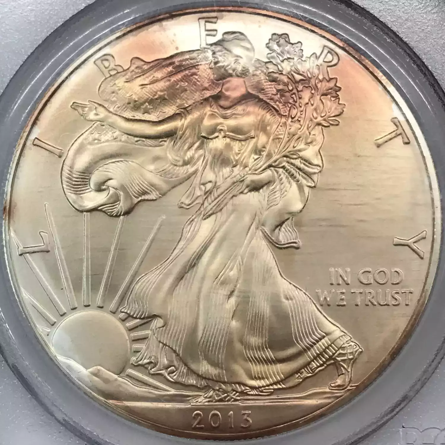 2013-(S) Silver Eagle PCGS MS-70 Struck at San Francisco First Strike ...